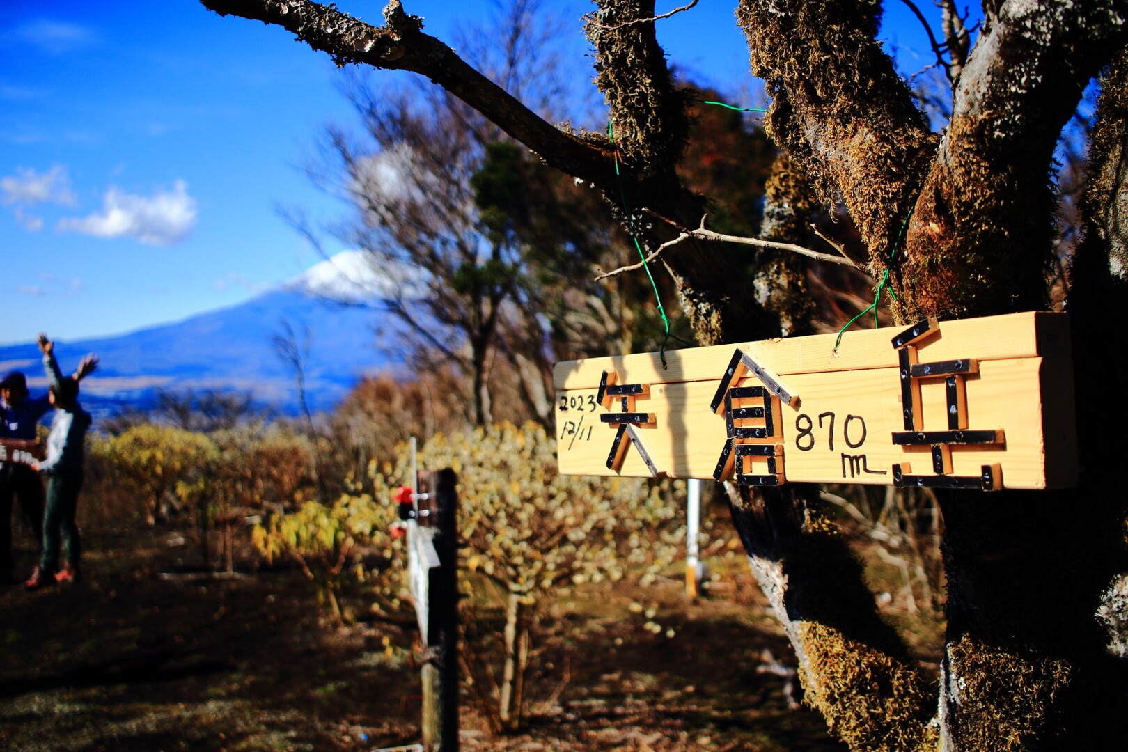 12月になったのでそう…矢倉岳へ / なのっぷさんの矢倉岳の活動データ | YAMAP / ヤマップ