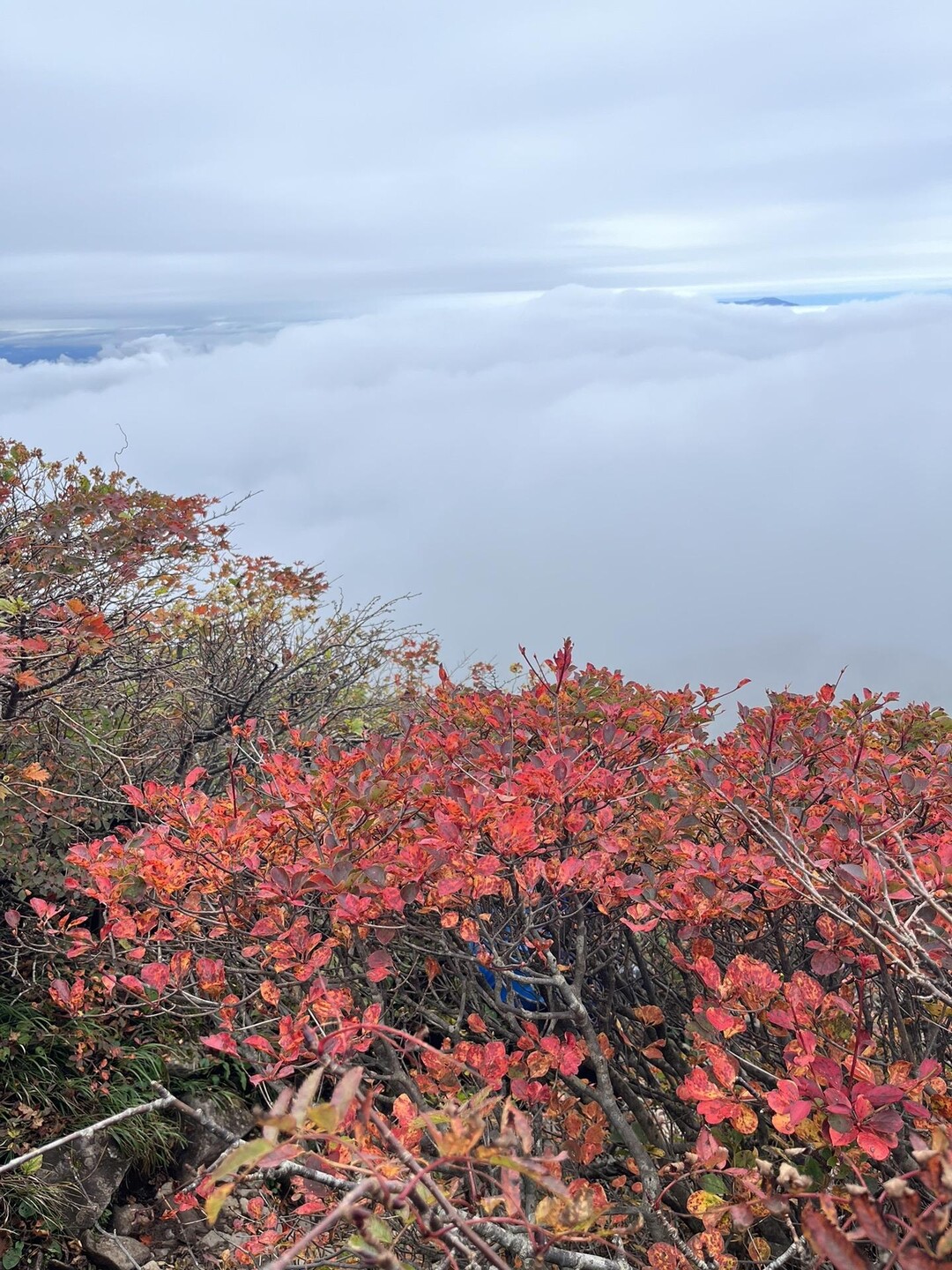 磐梯山 猪苗代登山口→裏磐梯ルート2024-10-05 / すーじー / steepbrew さんの磐梯山・雄国山・赤埴山の活動データ | YAMAP / ヤマップ