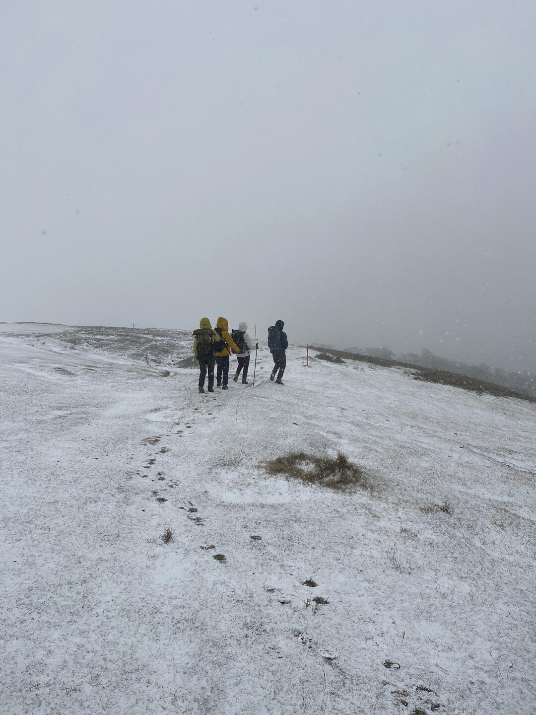 蓬莱山②・権現山・ホッケ山・打見山 / SHOJIさんの比良山地・武奈ヶ岳・釈迦岳の活動日記 | YAMAP / ヤマップ