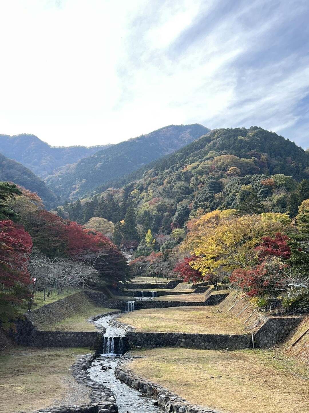 三方山・小倉山・養老山・北尾根P826峰 / mura36さんの養老山・笙ヶ岳・三方山の活動データ | YAMAP / ヤマップ