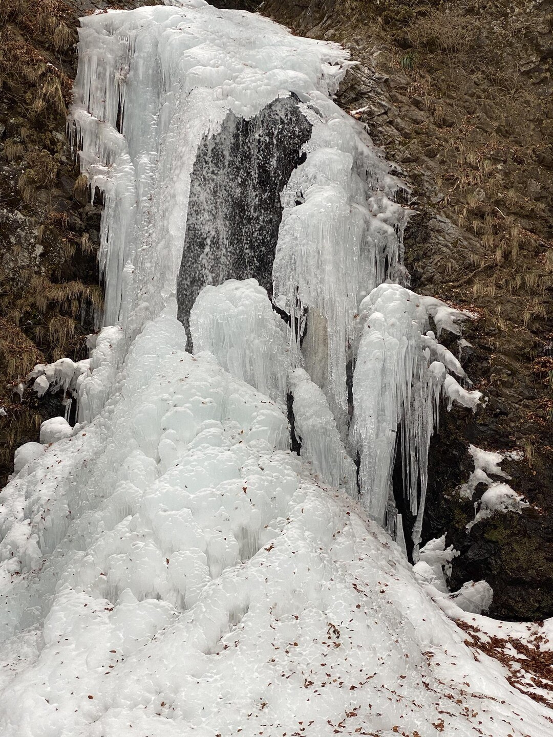 吾妻でえび天丼を食べ うどんも付いて99... / プライマリーさんのモーメント | YAMAP / ヤマップ
