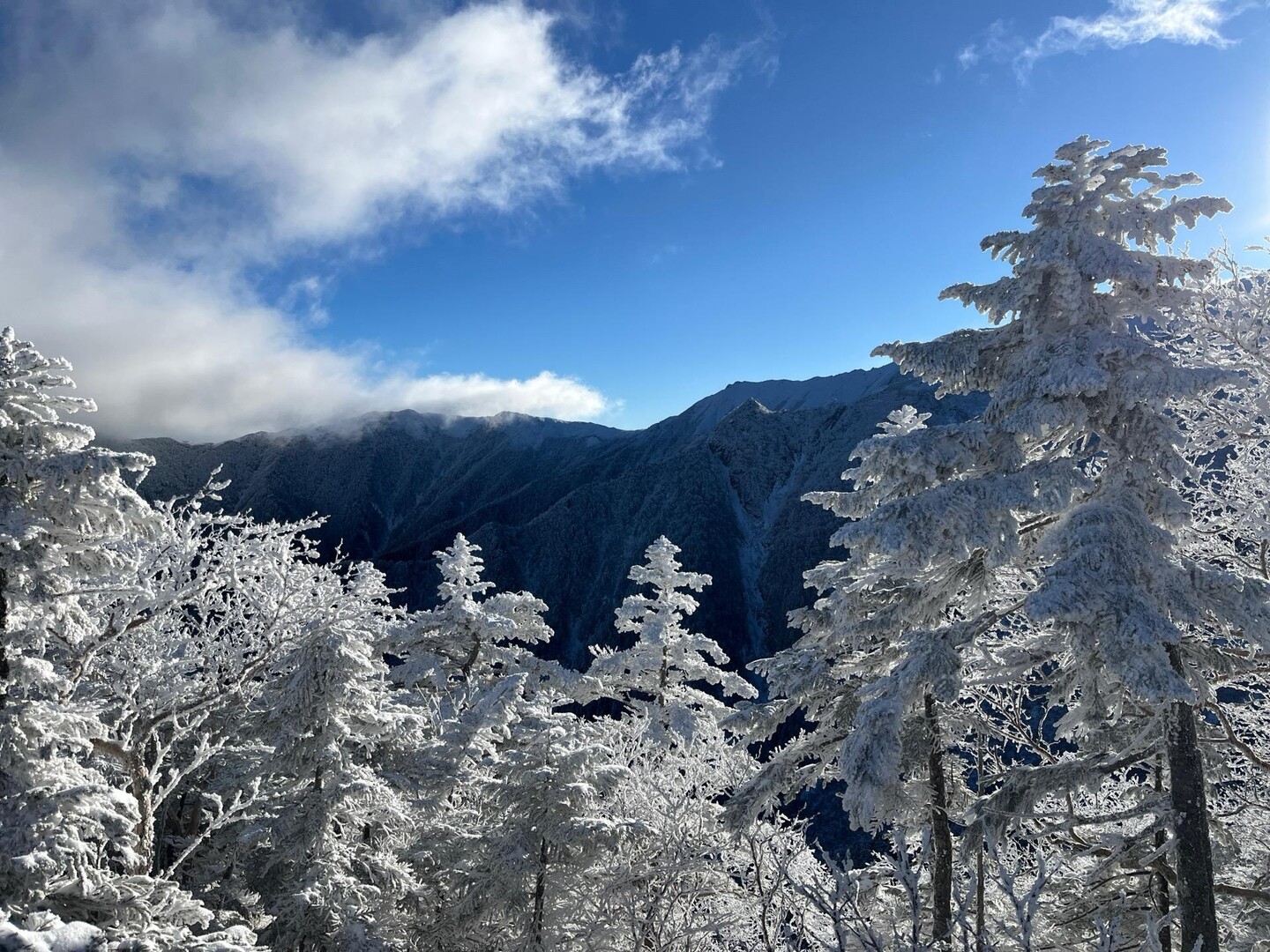 麦草岳 / sajunさんの木曽駒ヶ岳・空木岳・越百山の活動データ | YAMAP / ヤマップ