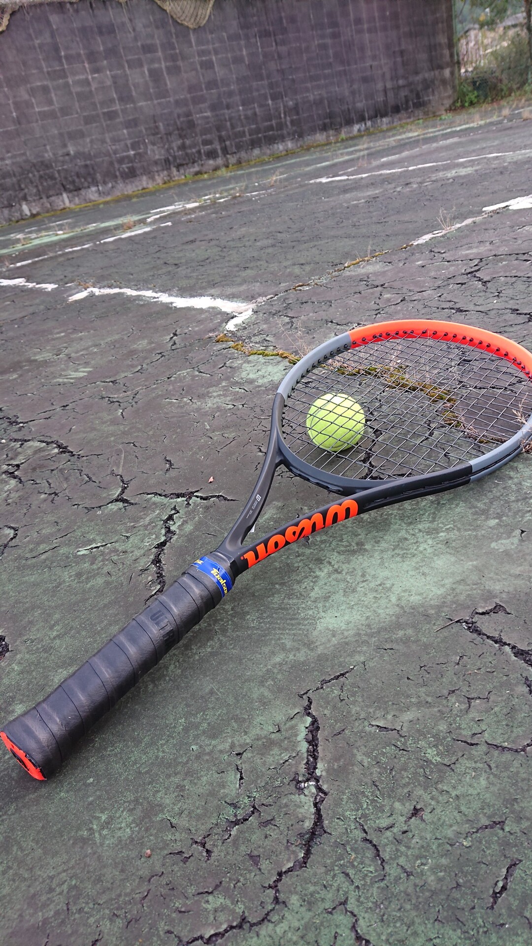 自主練習 / リンタイオウさんのモーメント | YAMAP / ヤマップ