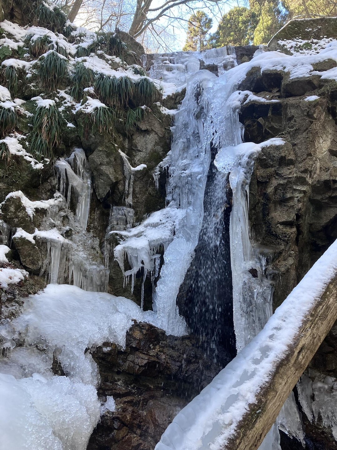 金剛山・大日岳 / cafe_Orinさんの金剛山・二上山・大和葛城山の活動データ | YAMAP / ヤマップ