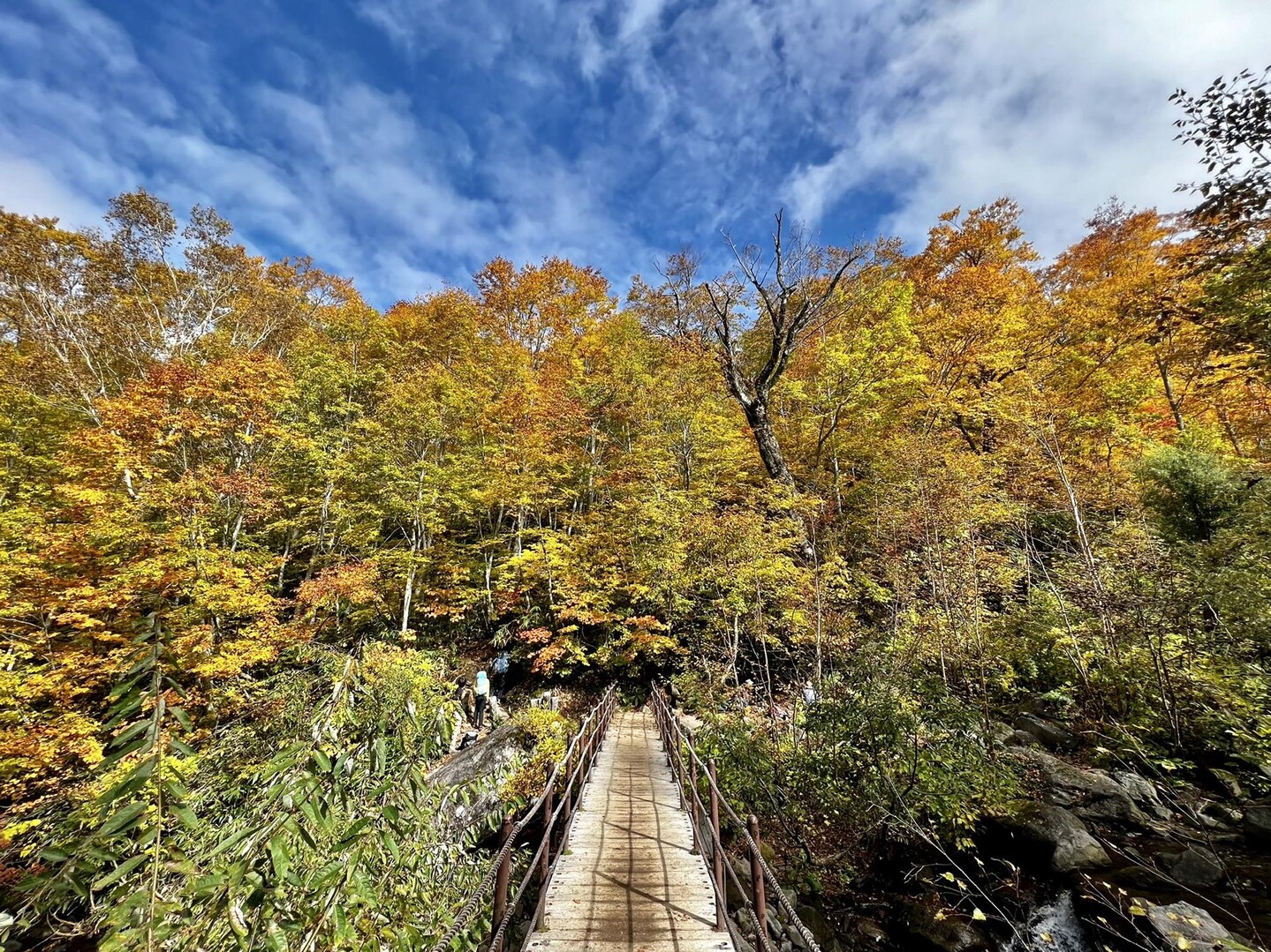 紅葉の火打山 Day2 / しんたろさんの妙高山・火打山の活動日記 | YAMAP / ヤマップ
