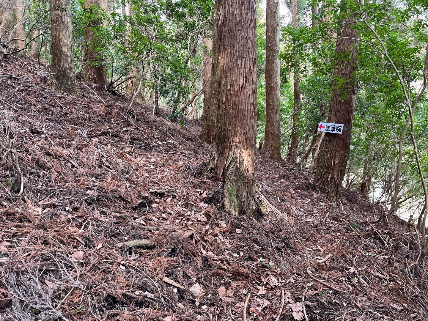 NALUさんの投稿したフィールドメモ | YAMAP / ヤマップ