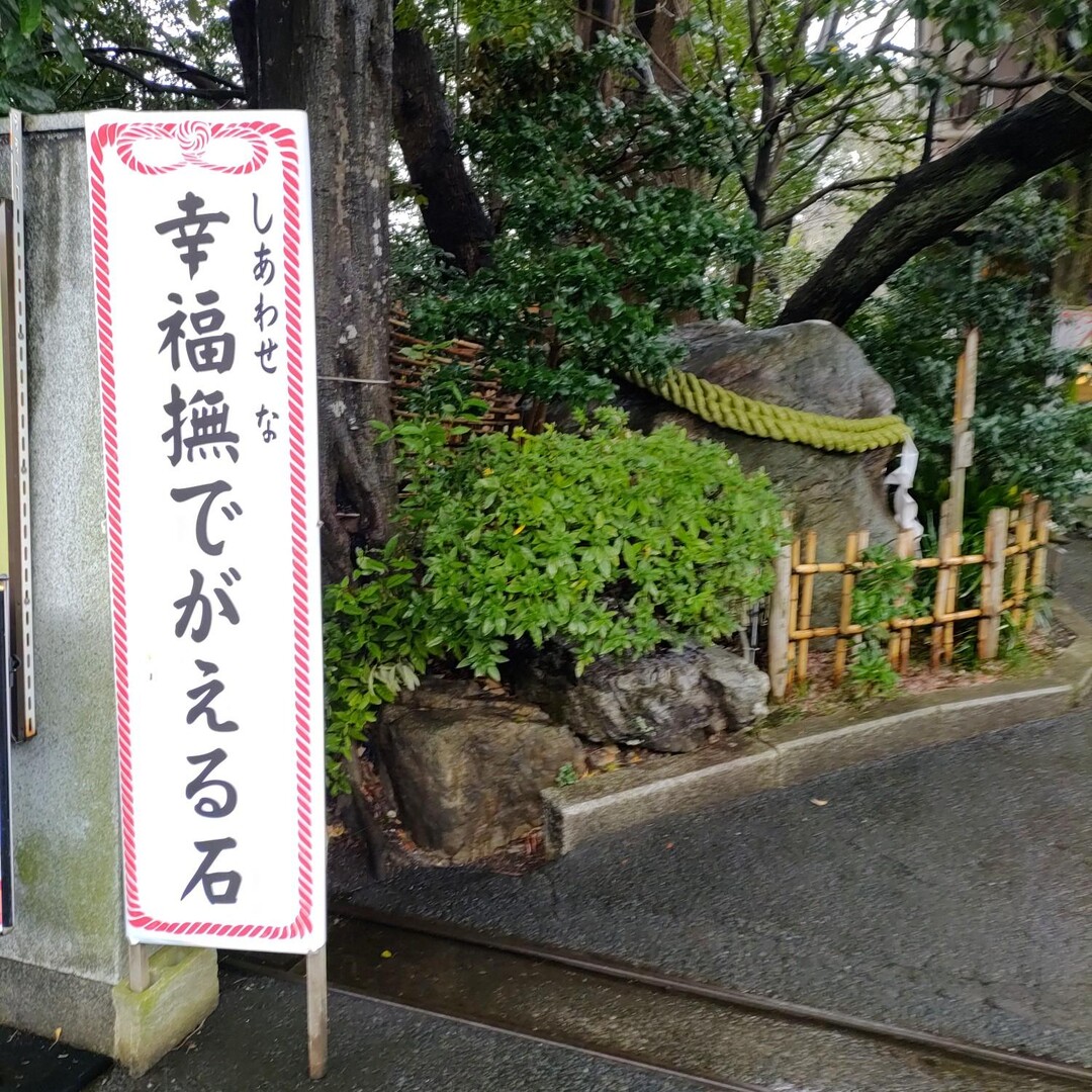 TWA 東京都ウオーキング協会60周年 江戸八所八幡宮詣 その弐. 箱根山 / 釋称念（しゃくしょうねん）さんの東京都23区 中央エリアの活動データ | YAMAP / ヤマップ