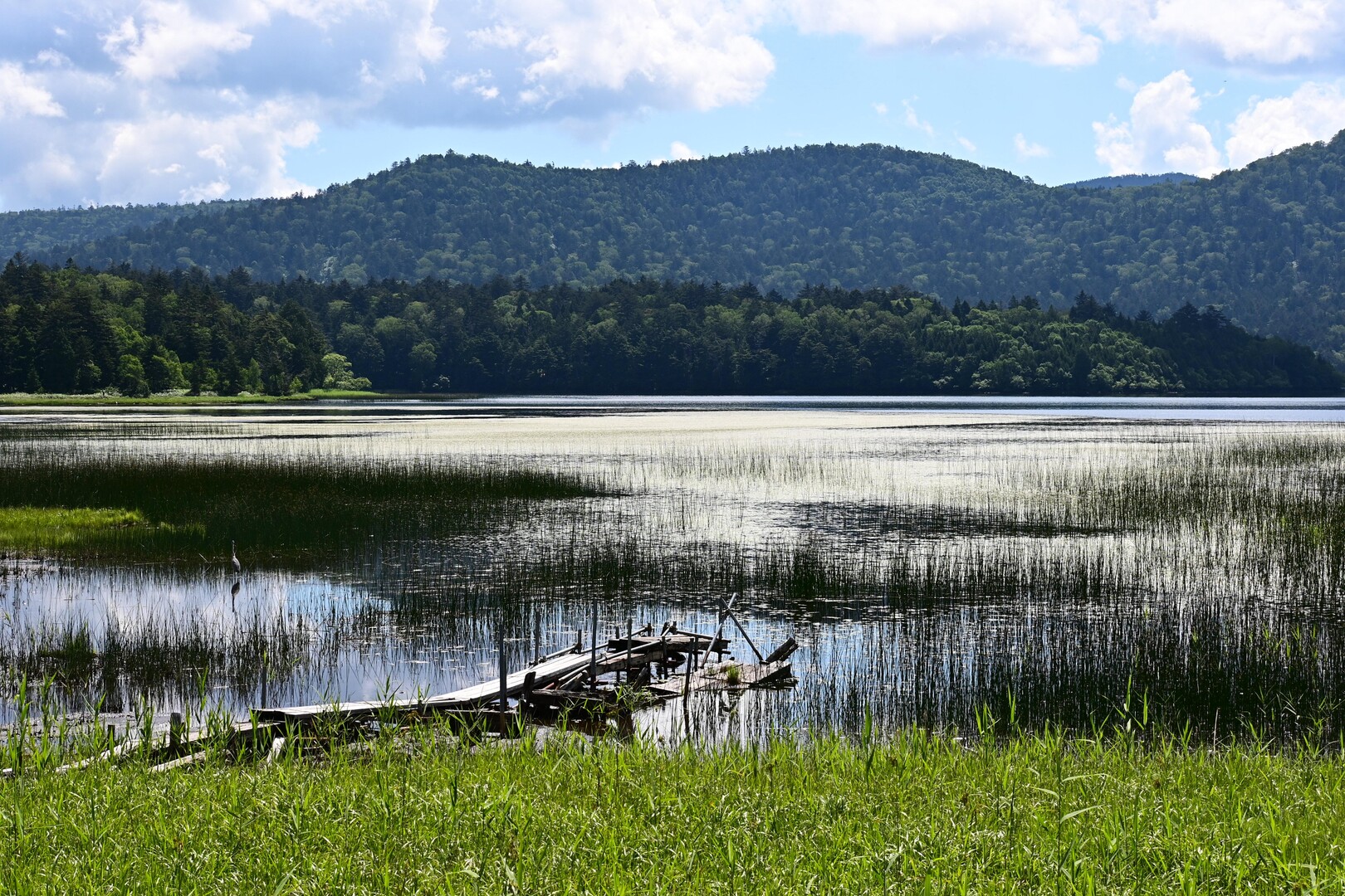 尾瀬を甘くみていた！反省 沼山峠から鳩待峠 / you&meさんの尾瀬・至仏山・悪沢岳・笠ヶ岳の活動日記 | YAMAP / ヤマップ