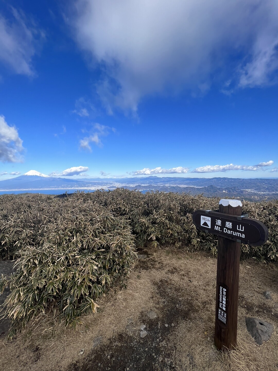 金冠山・小達磨山・達磨山 / monさんの金冠山・達磨山・葛城山の活動データ | YAMAP / ヤマップ
