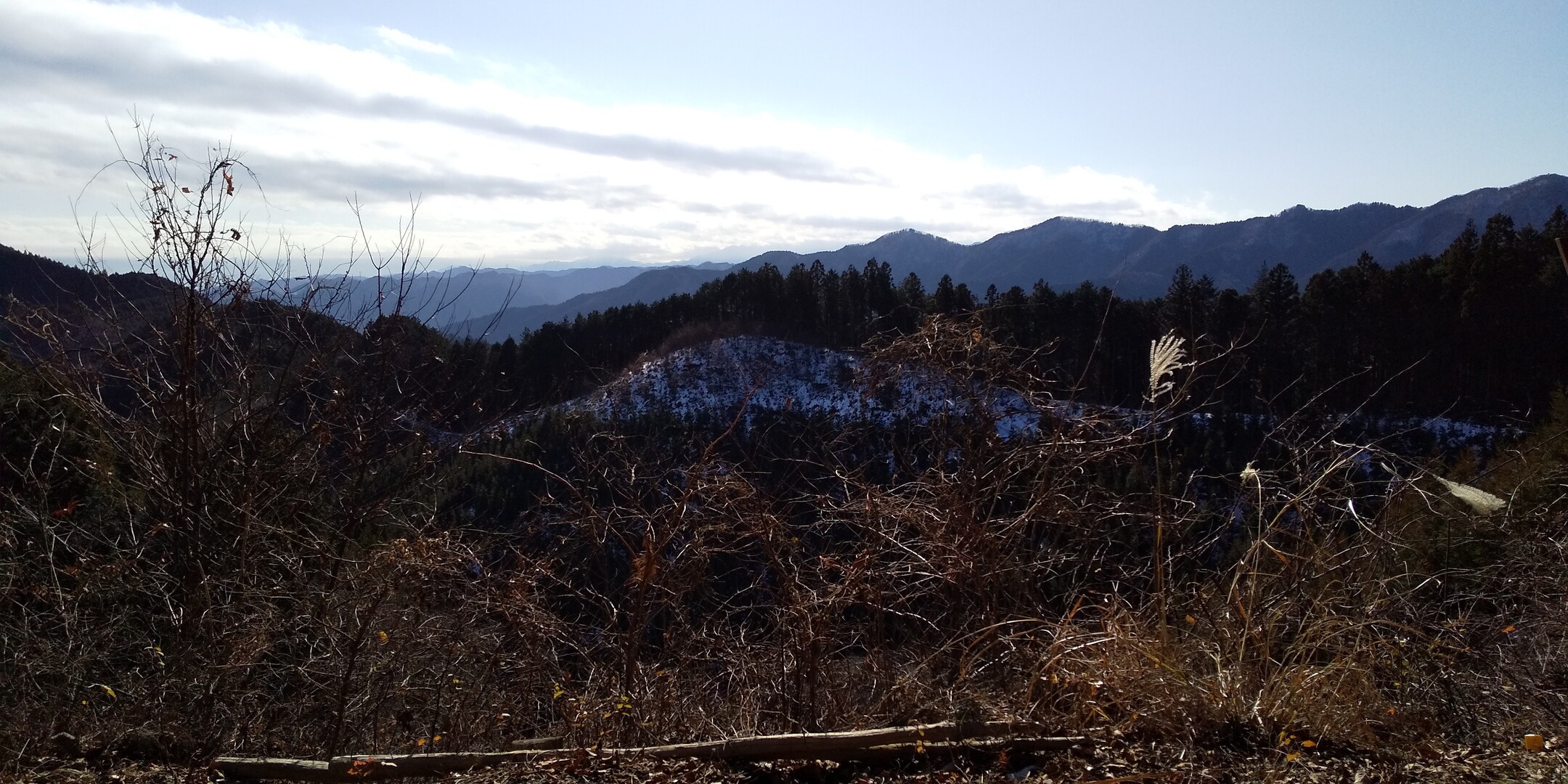 大岳山・御岳山・御前山-2019-12-25 / YASUさんの大岳山・御岳山・御前山の活動データ | YAMAP / ヤマップ