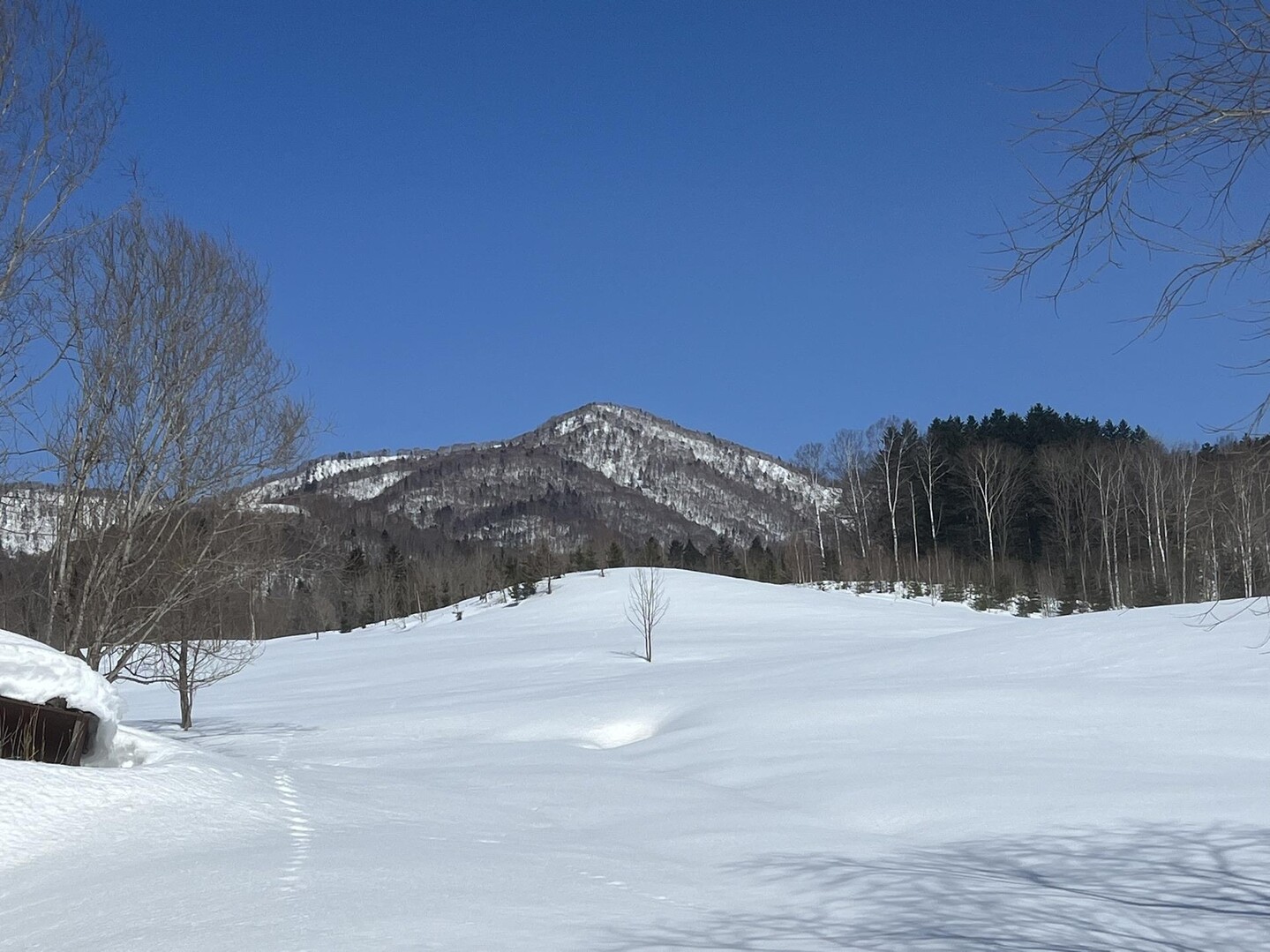 突角山 / maya-mayaさんの天幕山の活動データ | YAMAP / ヤマップ