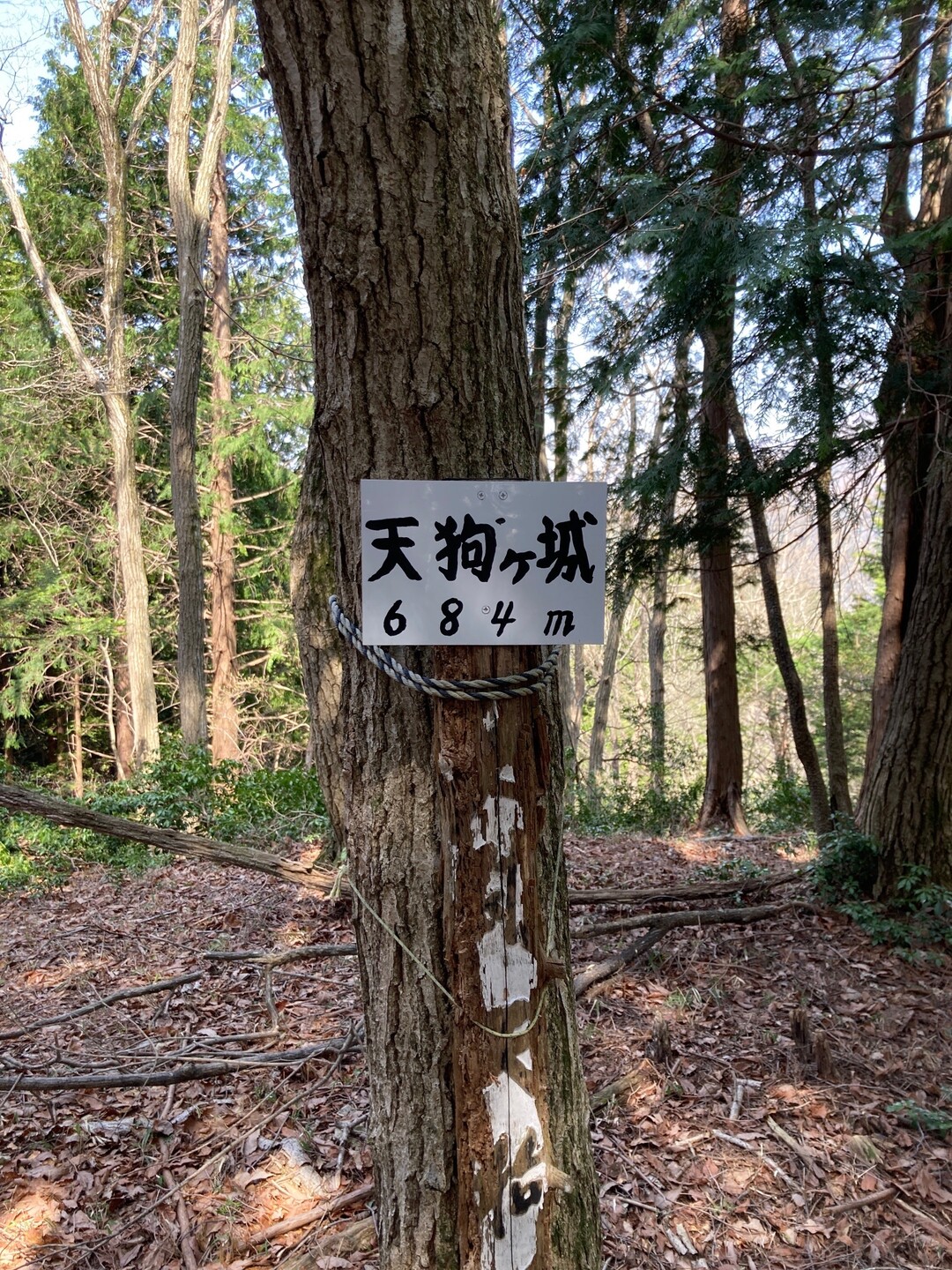 天狗城・松宇土 / doalaさんの舟伏山の活動データ | YAMAP / ヤマップ