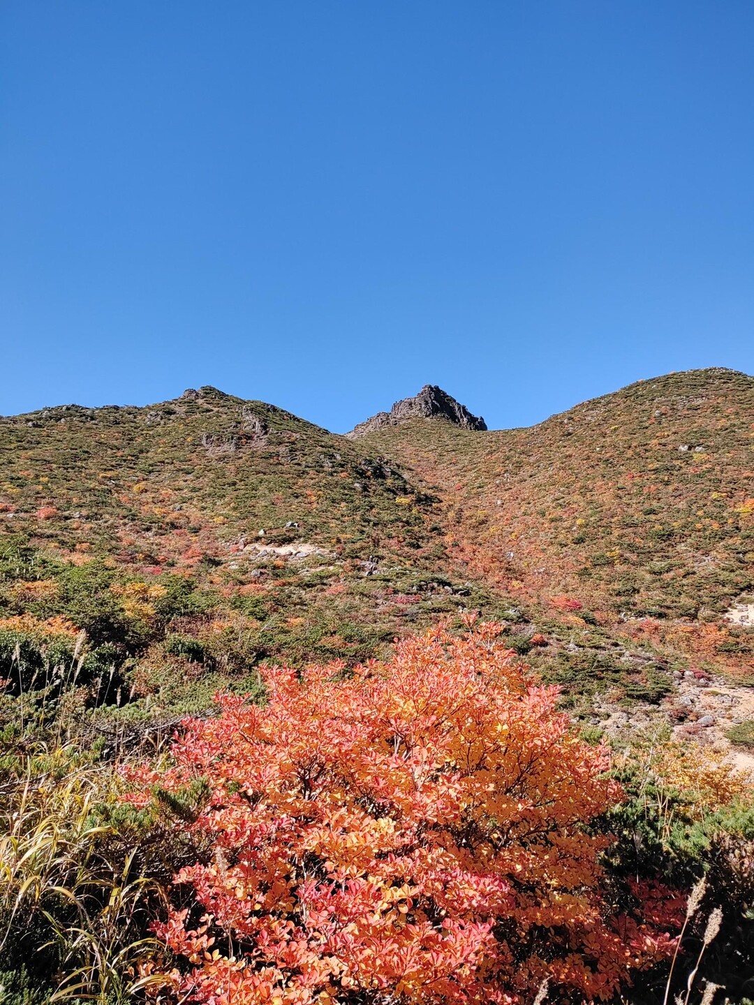 今年2度目！紅葉の安達太良山 / kaz kitさんの安達太良山・箕輪山・鬼面山の活動データ | YAMAP / ヤマップ