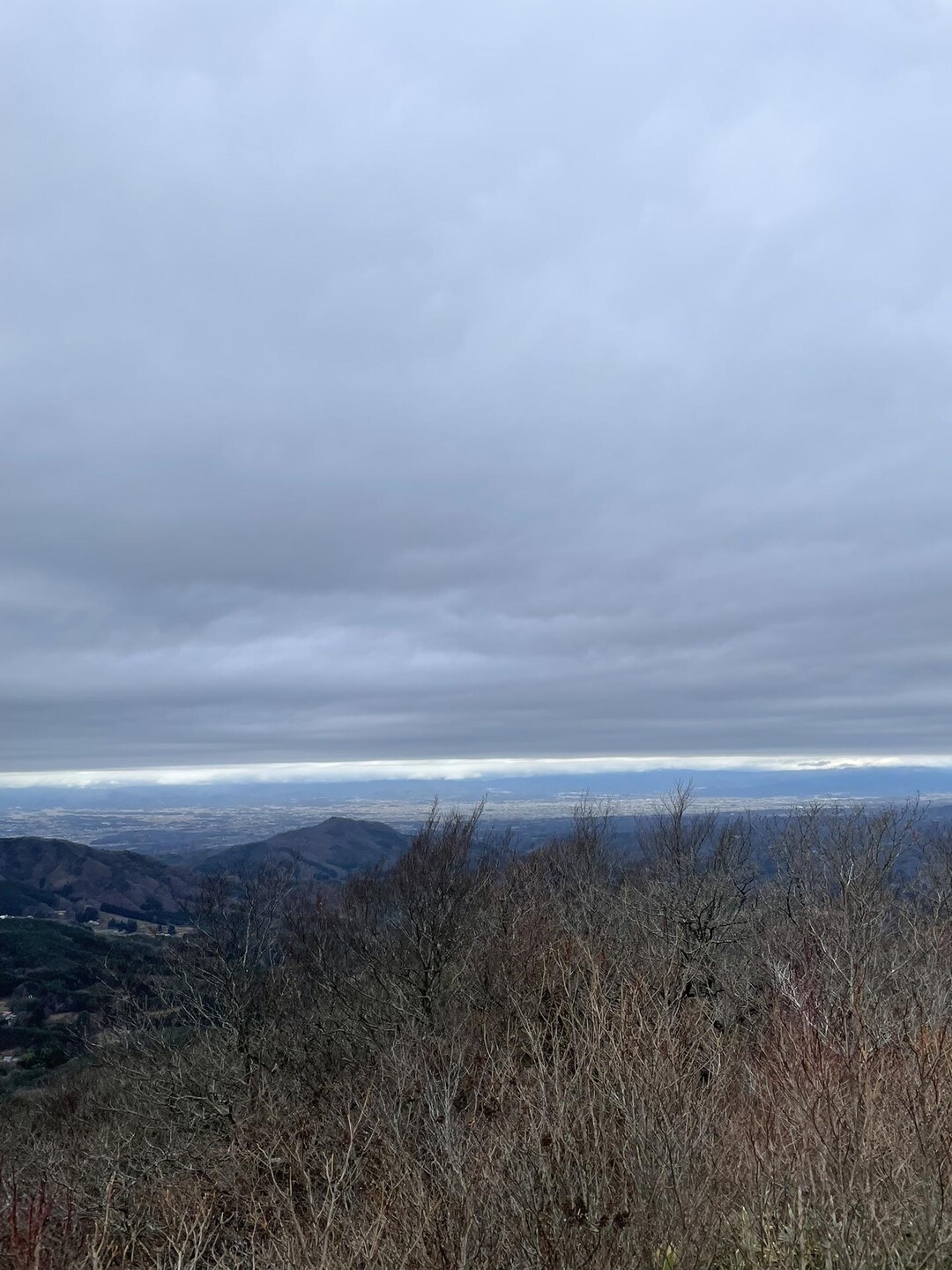 蓬田岳へ再び〜 / sammyくんさんの蓬田岳の活動データ | YAMAP / ヤマップ