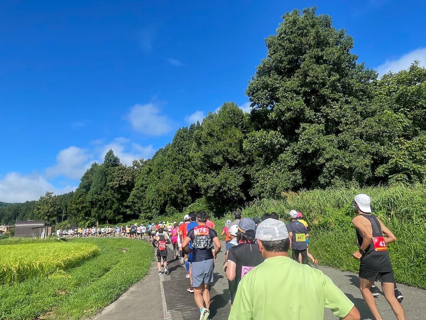 浦佐温泉山岳マラソン1周（21km）に参... / naosataさんのモーメント | YAMAP / ヤマップ