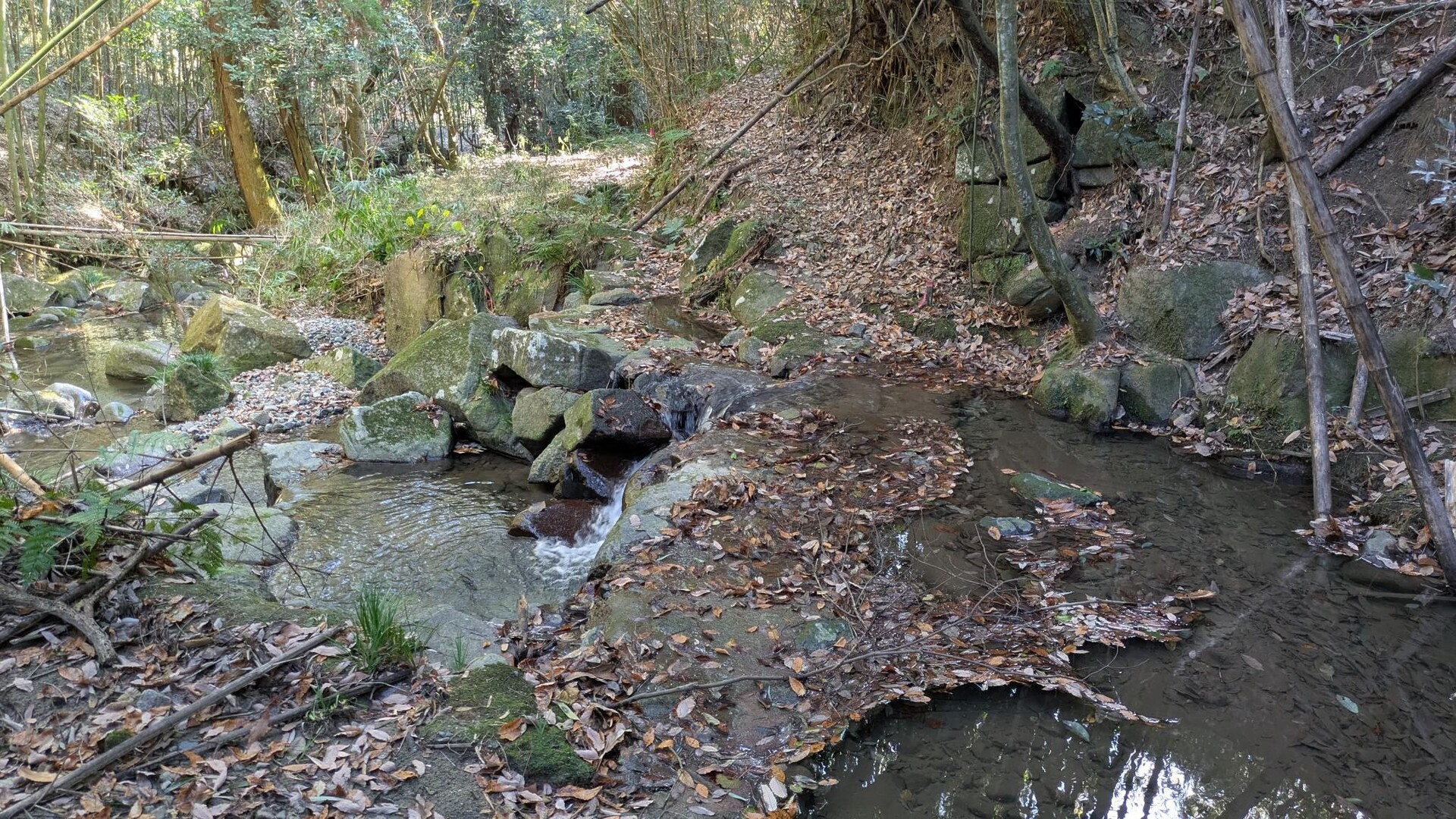 今年（2024年）の反省会 / Kobotさんの生駒山・神津嶽・大原山の活動データ | YAMAP / ヤマップ