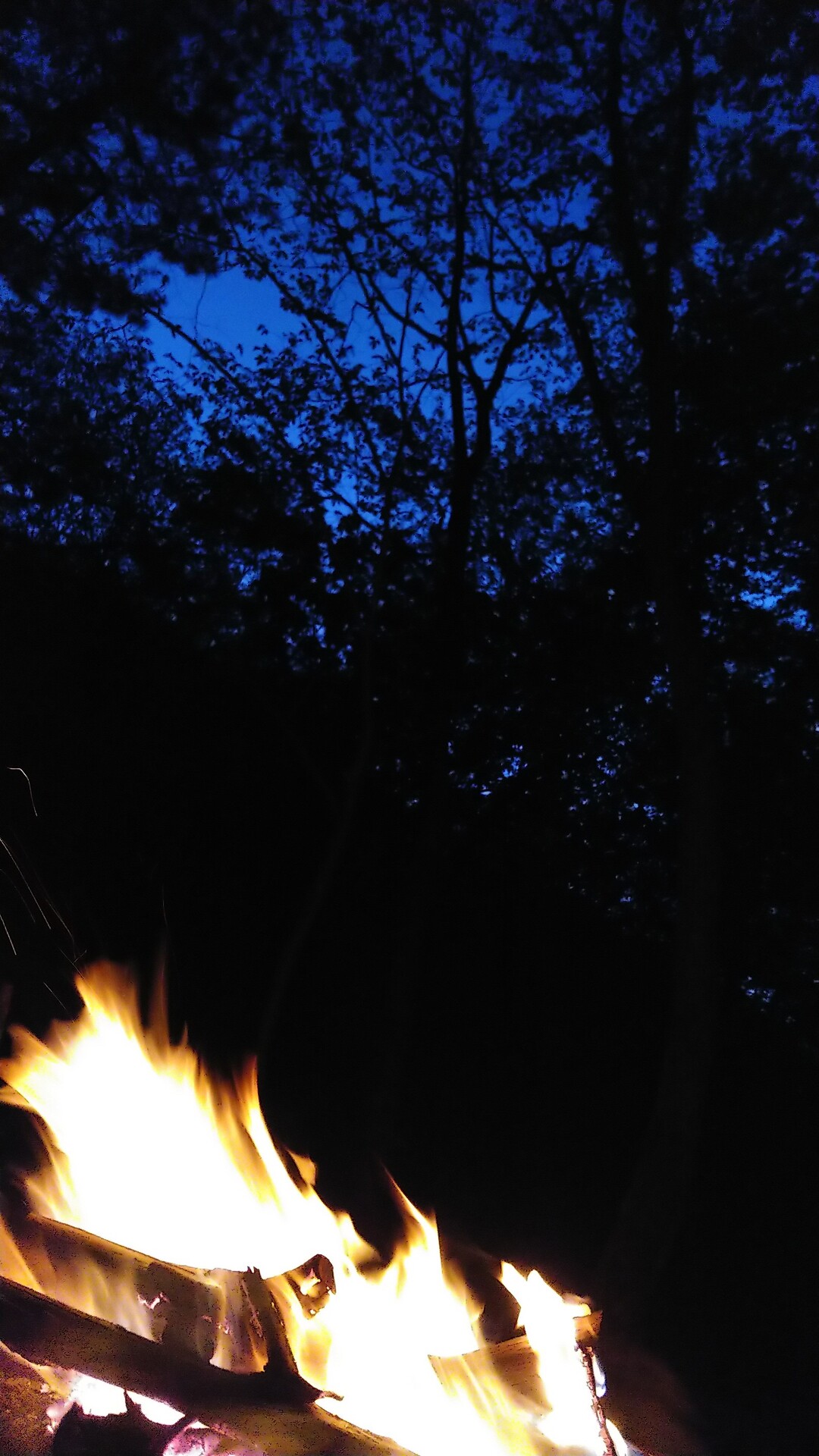 肩を故障してGW遠征中止😩 wild ... / yuyu＊さんのモーメント | YAMAP / ヤマップ