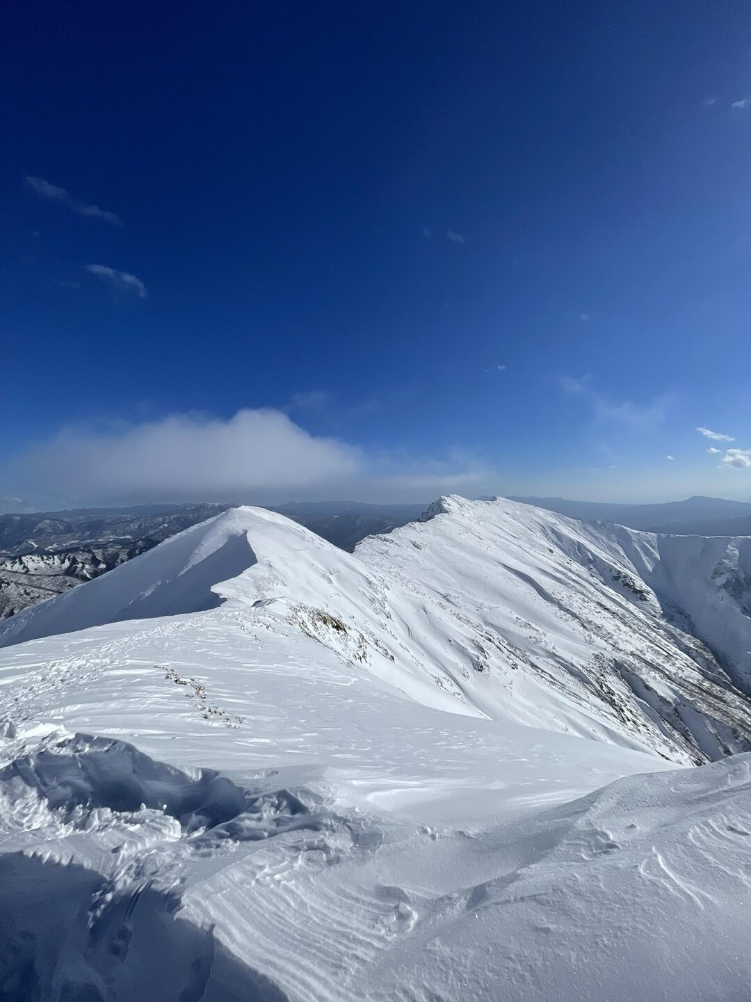 茂倉岳 / R-L-Rさんの谷川岳・七ツ小屋山・大源太山の活動データ | YAMAP / ヤマップ