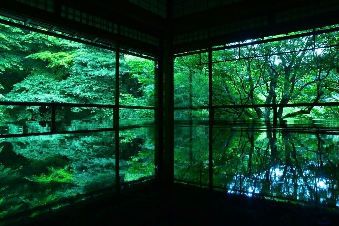 秋に続いて瑠璃光院にいってきた会社の子に... / sis_kさんのモーメント | YAMAP / ヤマップ