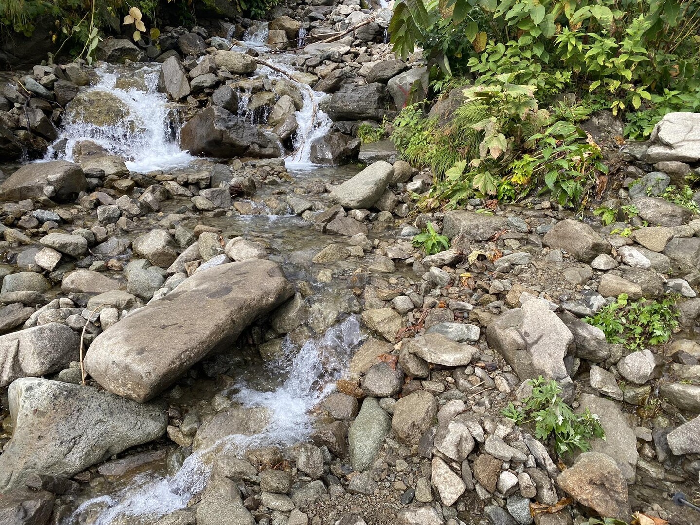 Moonkeyさんの投稿したフィールドメモ | YAMAP / ヤマップ