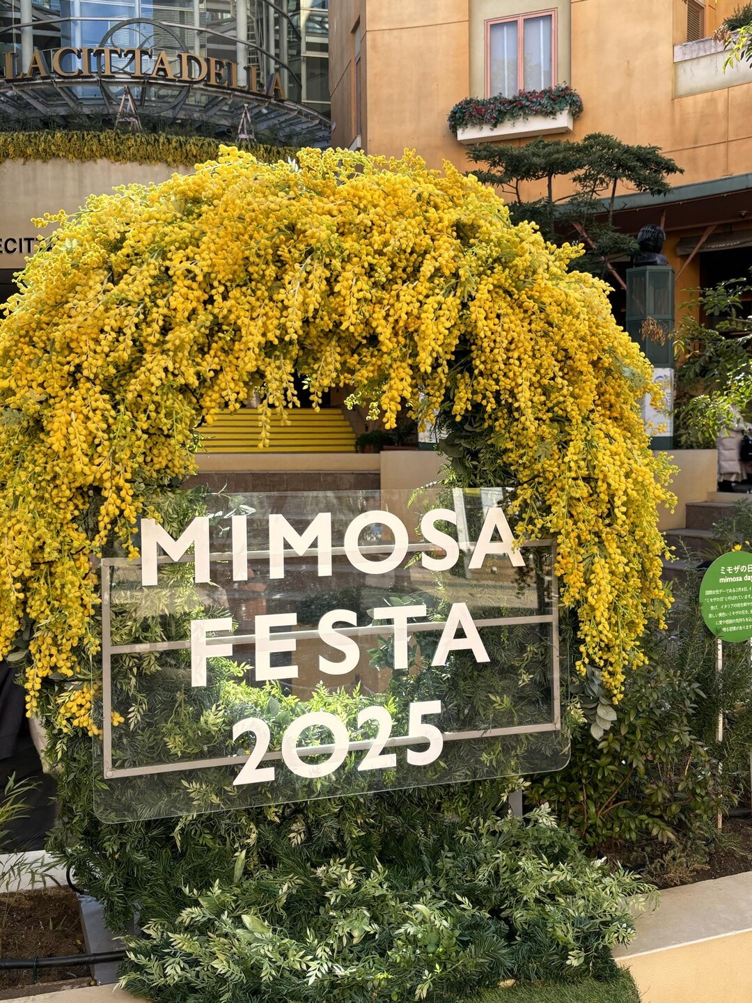 MIMOSA FESTA 2025 カワ... / ロビさんのモーメント | YAMAP / ヤマップ