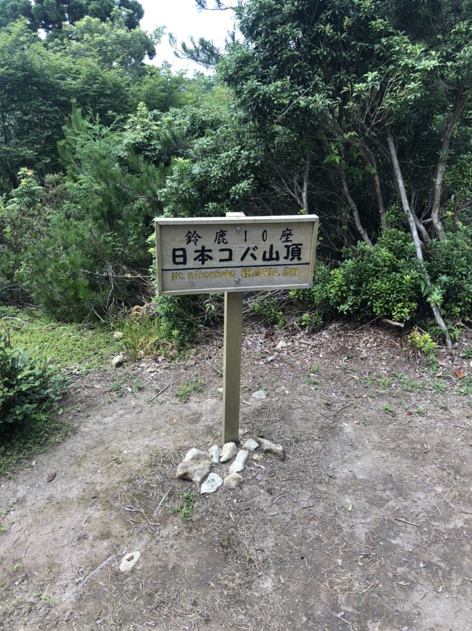 日本コバ / rikuさんの日本コバの活動データ | YAMAP / ヤマップ