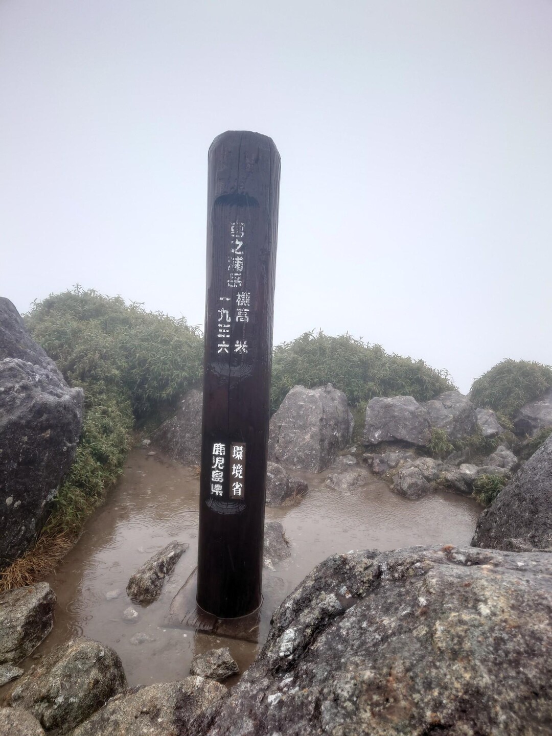 屋久島 4月上旬雨の宮之浦岳縦走 / yama-ikeさんの屋久島・宮之浦岳の活動データ | YAMAP / ヤマップ