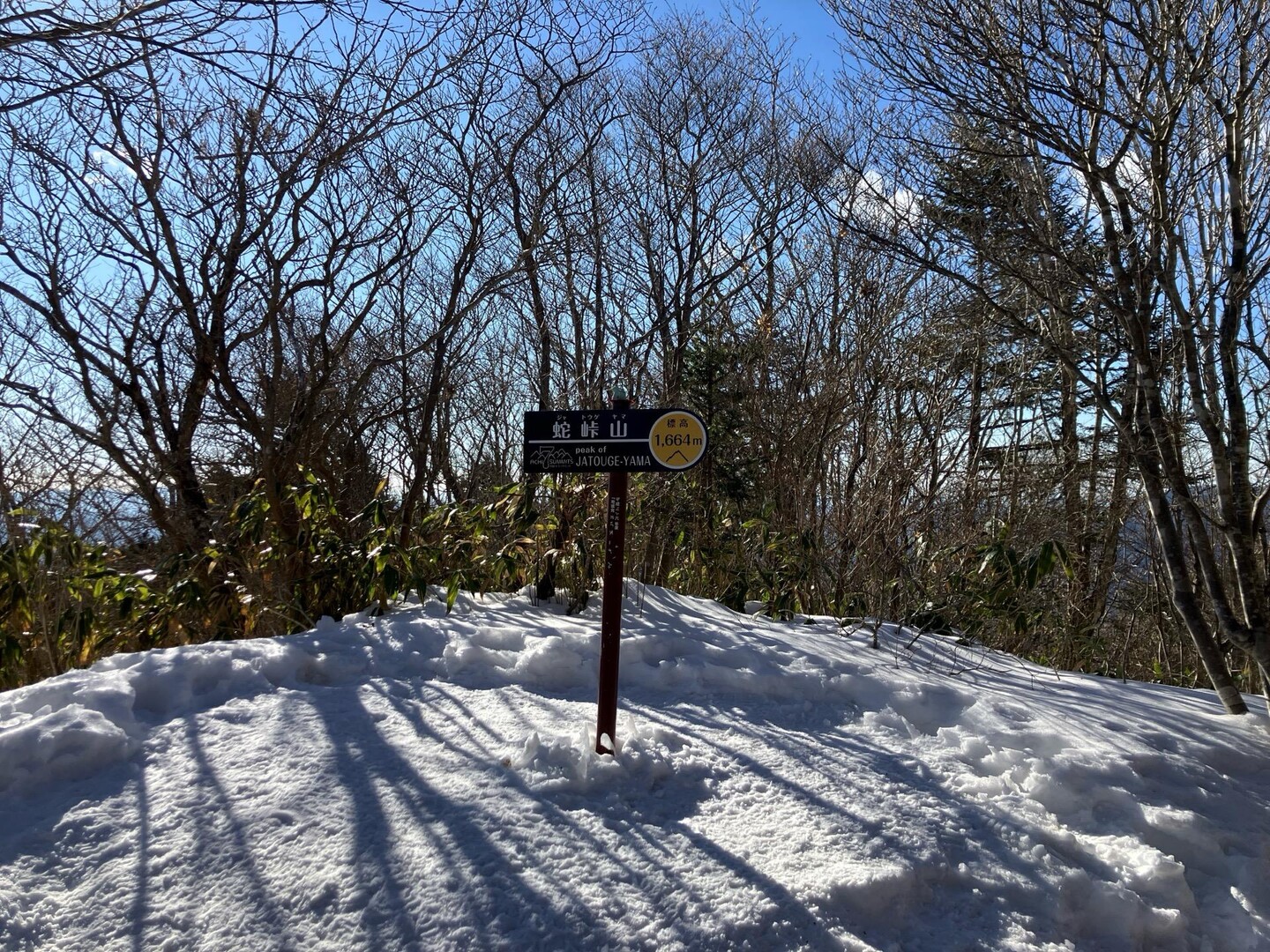 蛇峠山 / tamuさんの蛇峠山の活動日記 | YAMAP / ヤマップ