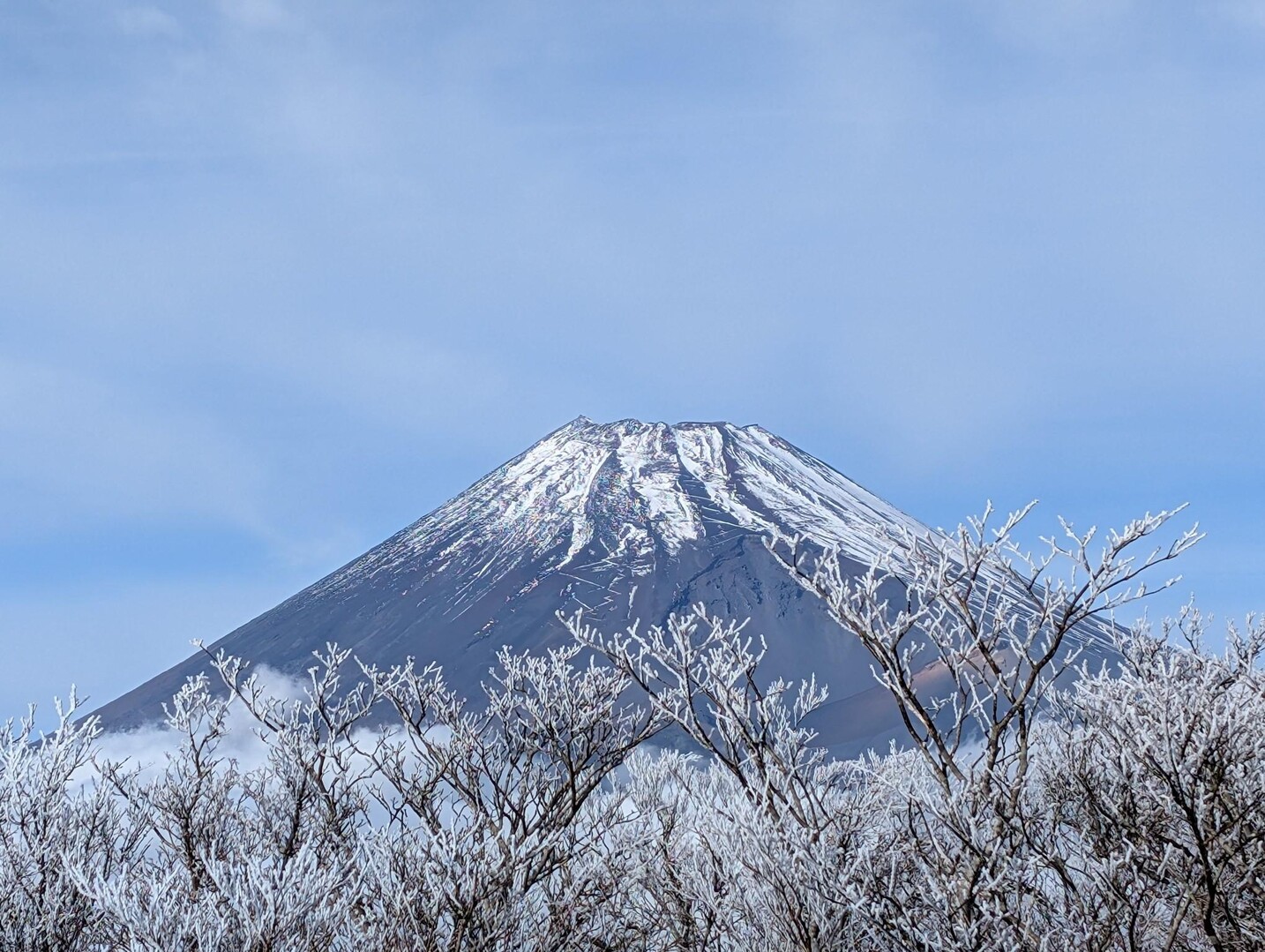 愛鷹連峰 / ko-riさんの愛鷹山・大岳・黒岳の活動データ | YAMAP / ヤマップ