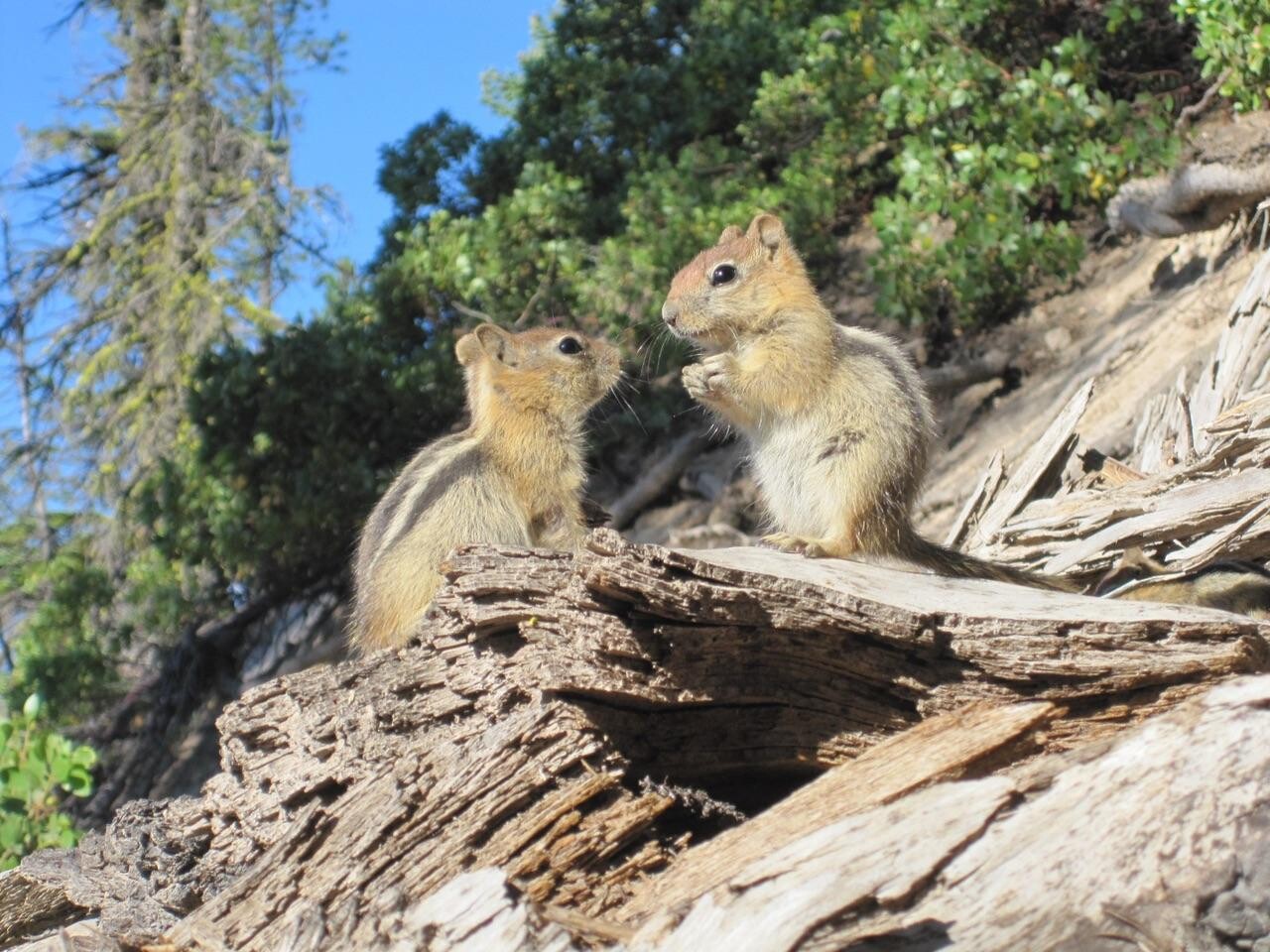 Jimamanのページ | YAMAP / ヤマップ