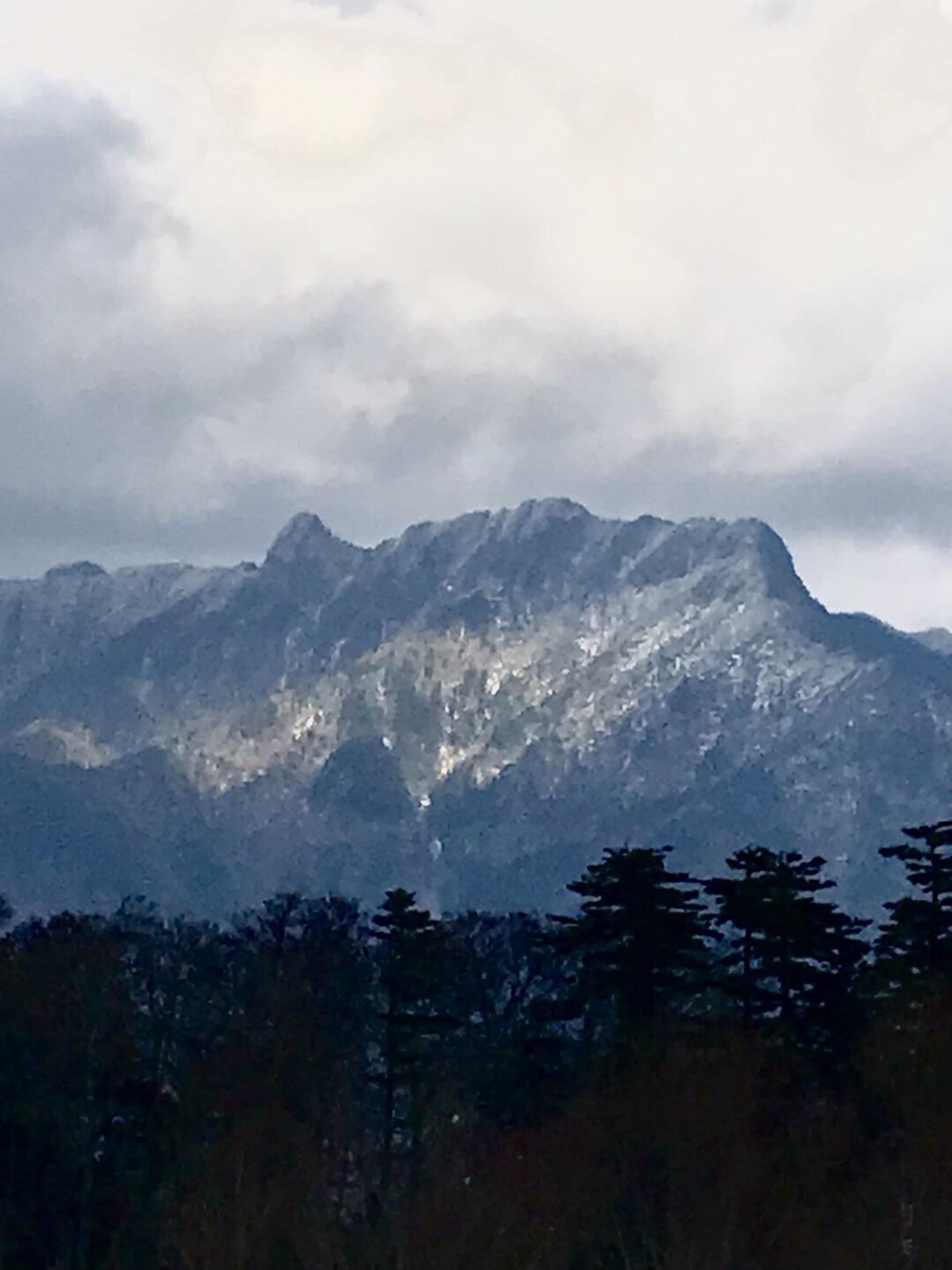 天女の頂 / Yasさんの八経ヶ岳の活動データ | YAMAP / ヤマップ