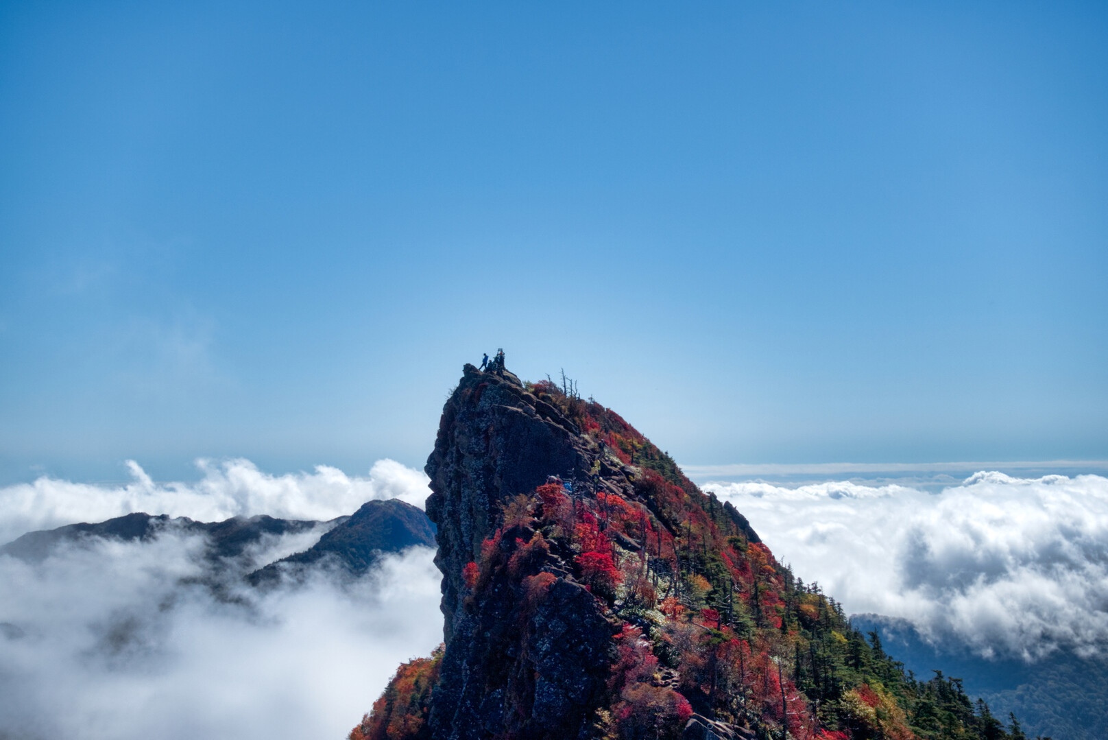 西日本の天井から見渡す果てしない雲の海（石鎚山） / persさんの石鎚山・堂ヶ森・二ノ森の活動日記 | YAMAP / ヤマップ
