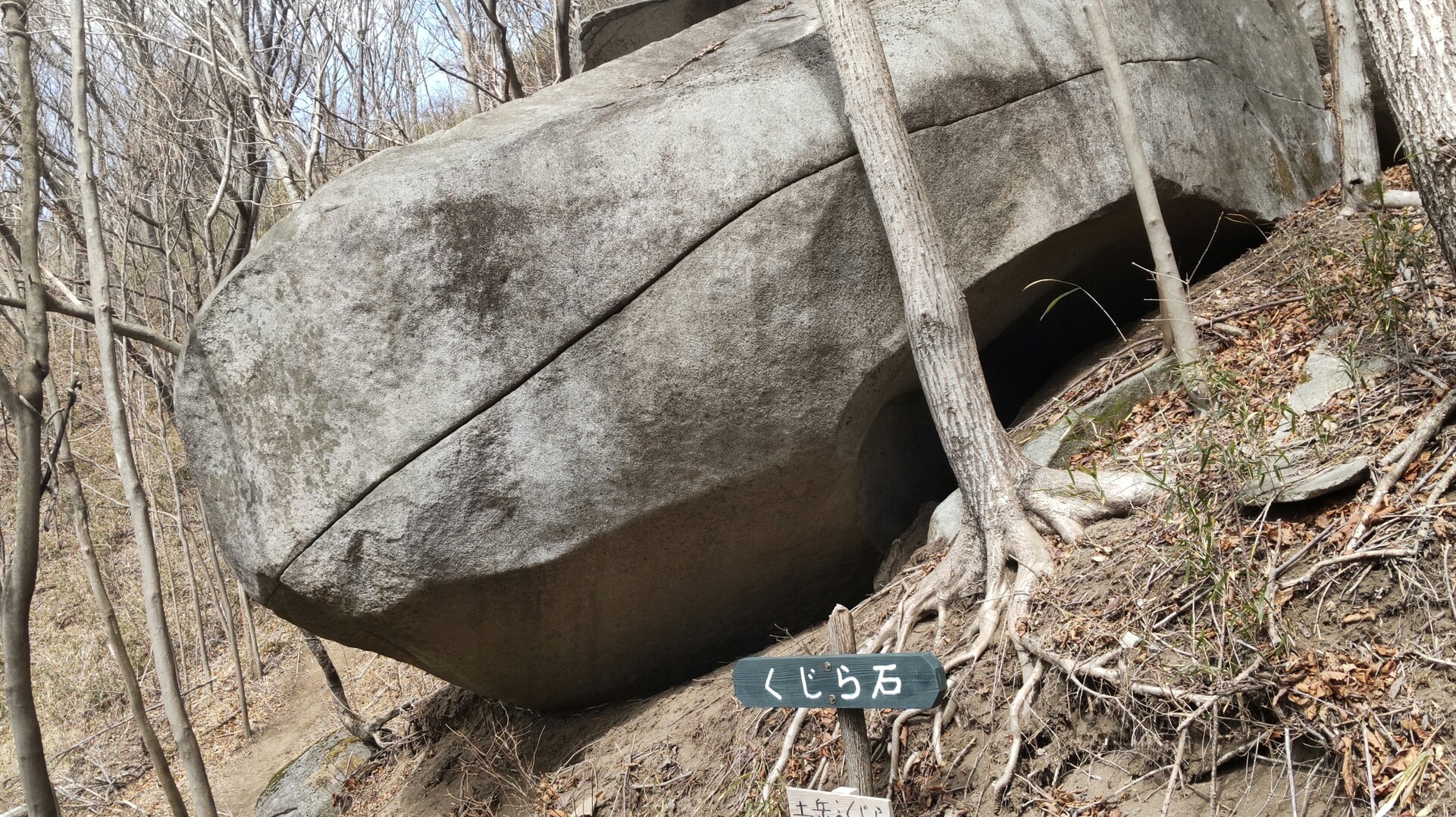 kazeさんの投稿したフィールドメモ | YAMAP / ヤマップ