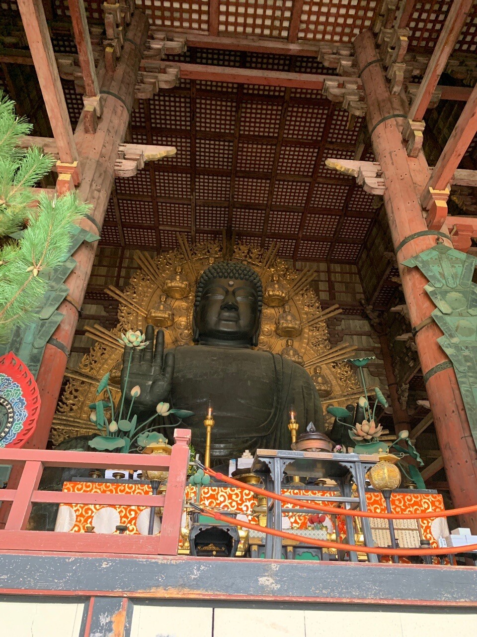 春日山原始林〜若草山〜東大寺 ヒルクライム‼️ さとし。さんの若草山・芳山・高円山の活動データ Yamap ヤマップ