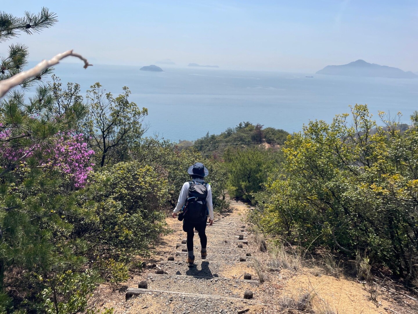 鳶ガ巣山・王城・切石山・釜戸山 / aki-kiyoさんの鳶ガ巣山・王城の活動データ | YAMAP / ヤマップ