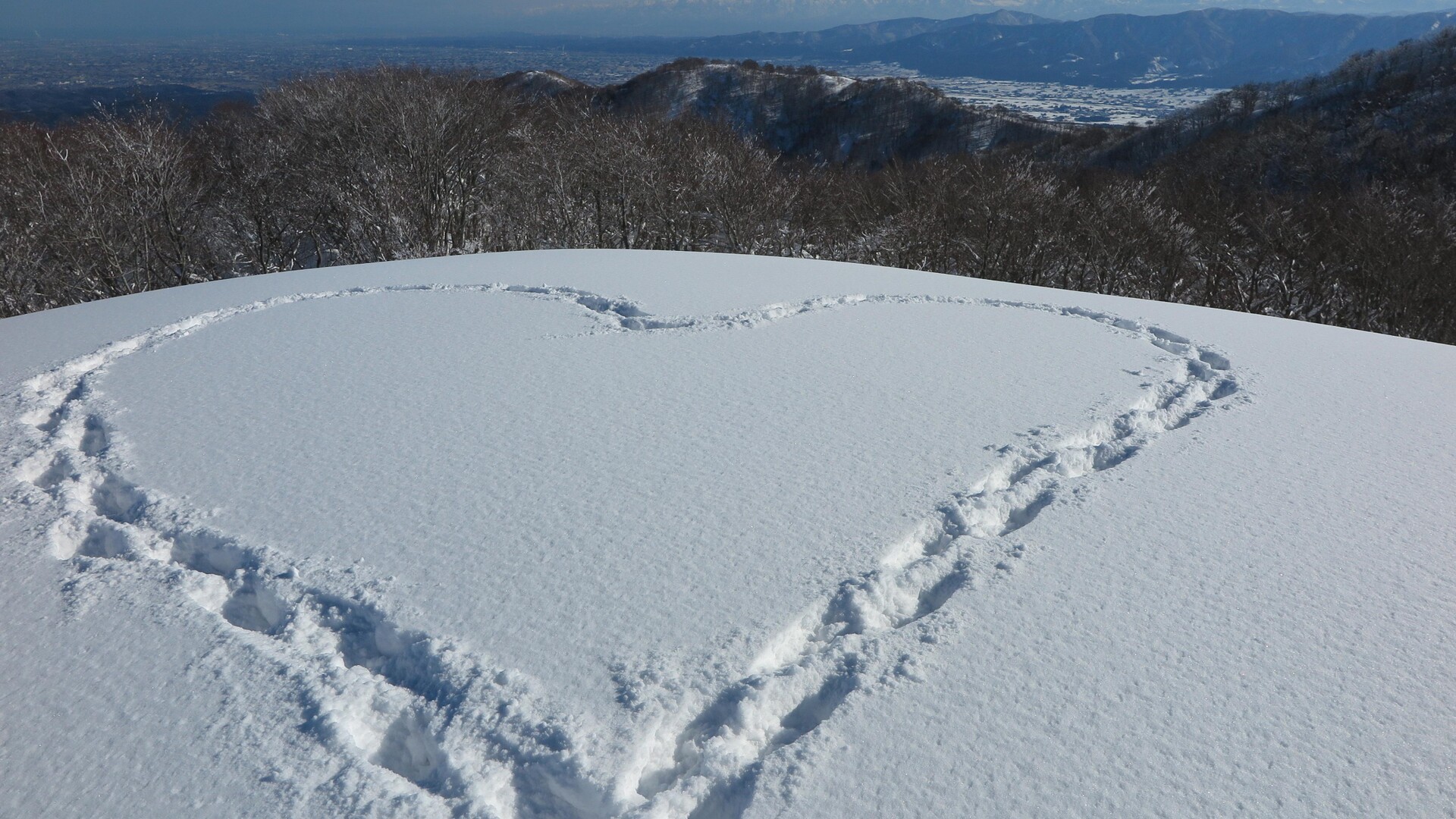 医王山の朝🤍 昨日、早朝の冬山の景観... / tomo1990さんのモーメント | YAMAP / ヤマップ