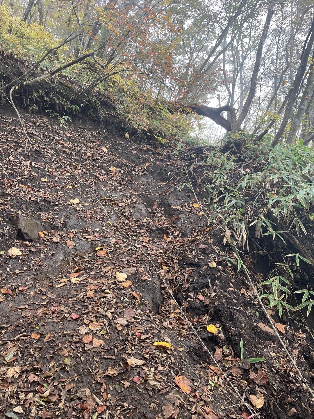 syo-taさんの投稿したフィールドメモ | YAMAP / ヤマップ