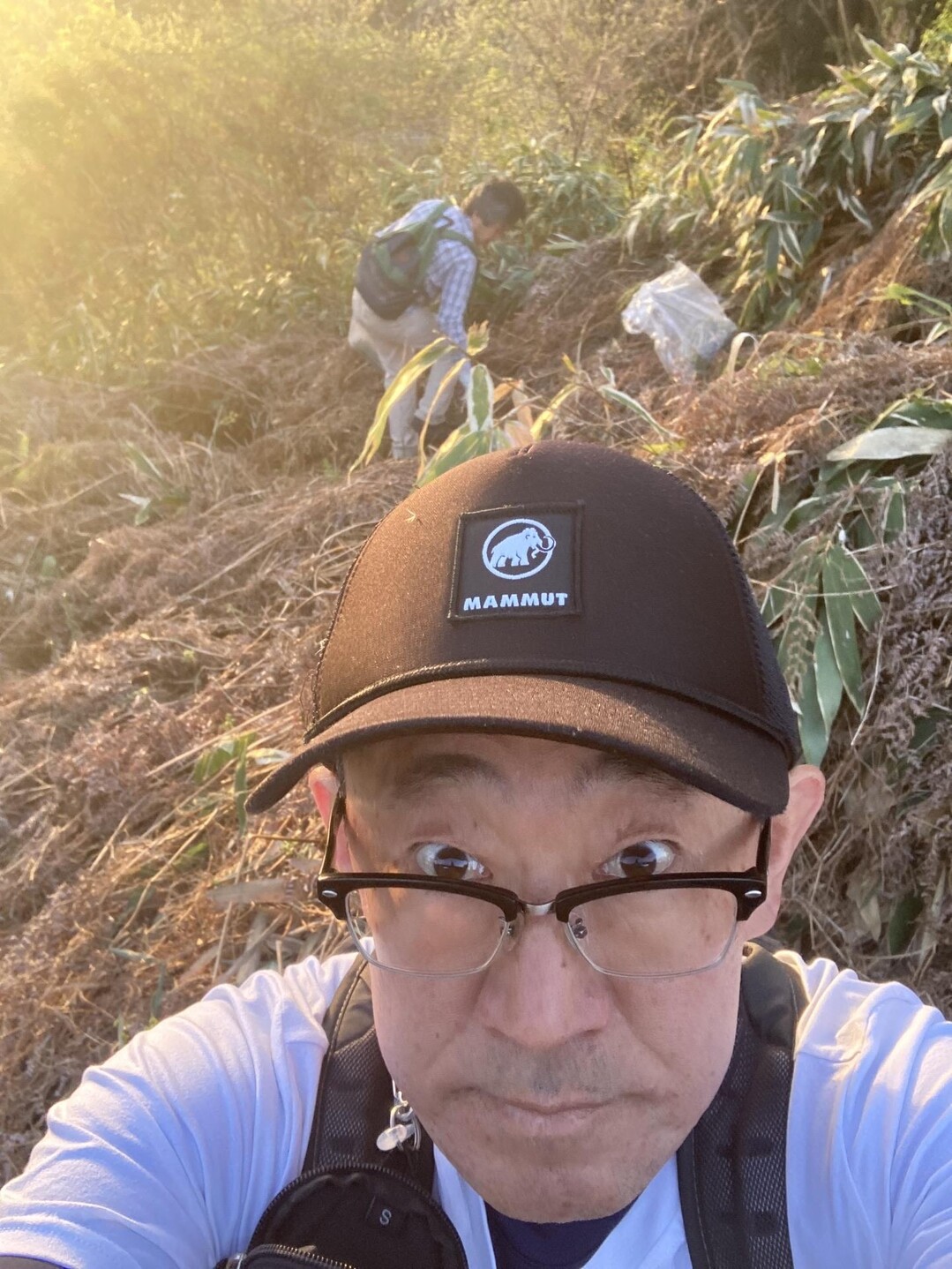 会社の相棒誘われて「わらび」採りに行って... / しんご🐭さんのモーメント | YAMAP / ヤマップ