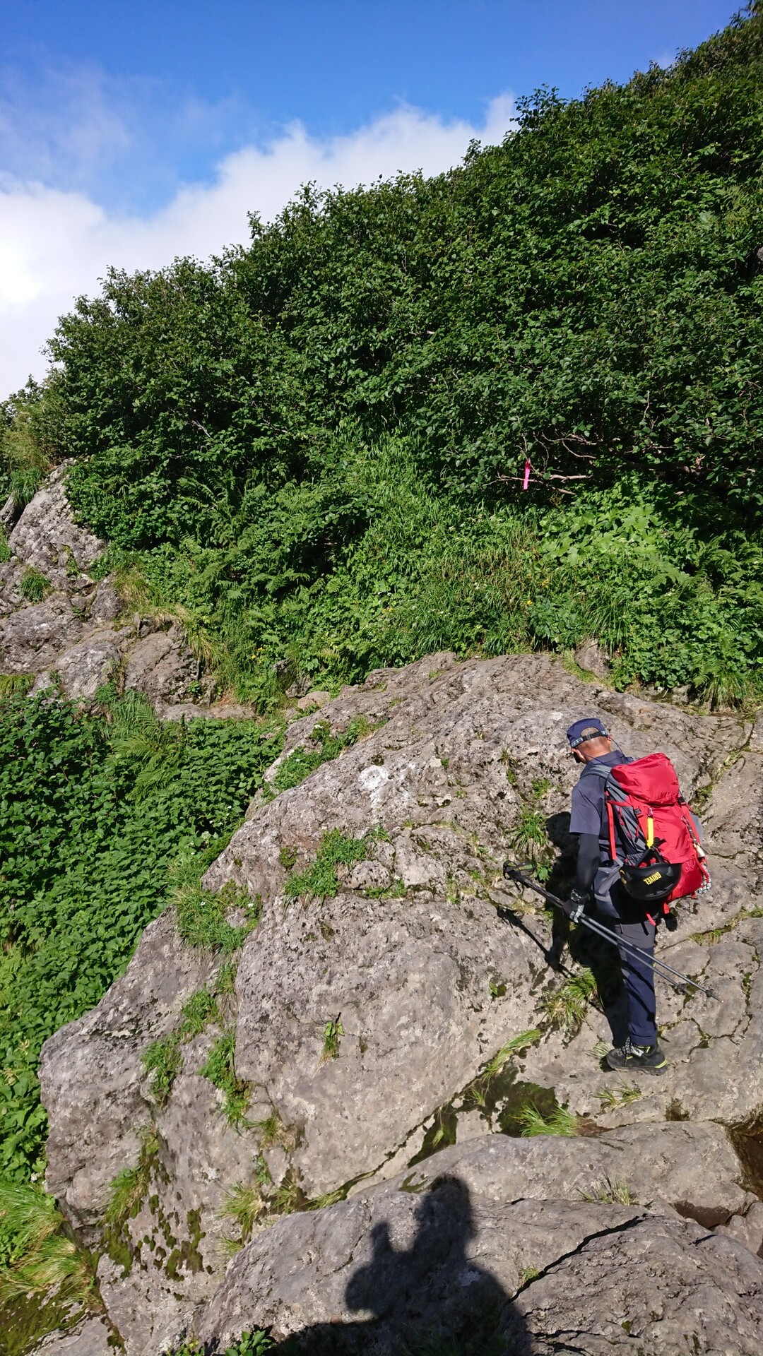 POKAさんの投稿したフィールドメモ | YAMAP / ヤマップ
