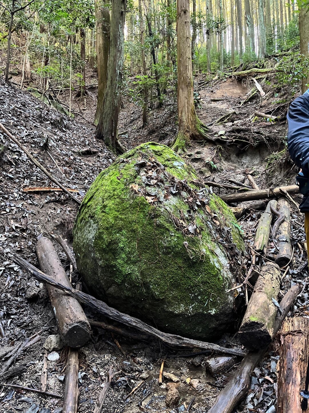 Mimiさんの投稿したフィールドメモ | YAMAP / ヤマップ