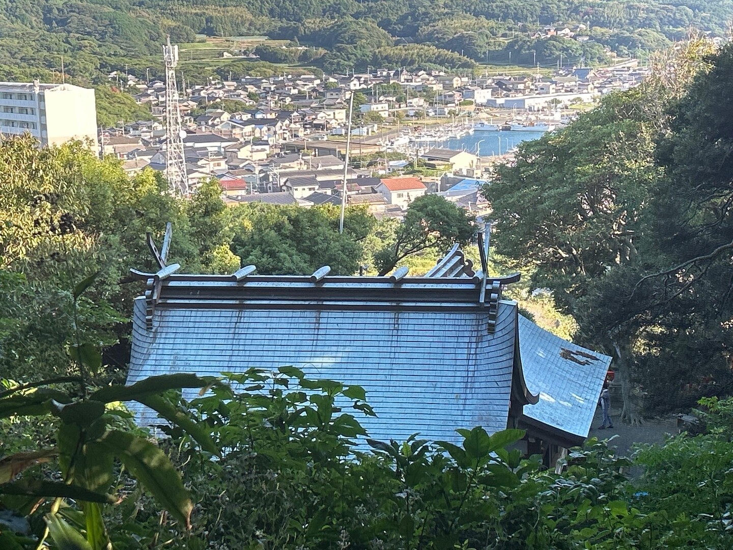 宗像四ツ塚縦走いってこい / yes_csさんの湯川山・城山・孔大寺山の活動データ | YAMAP / ヤマップ
