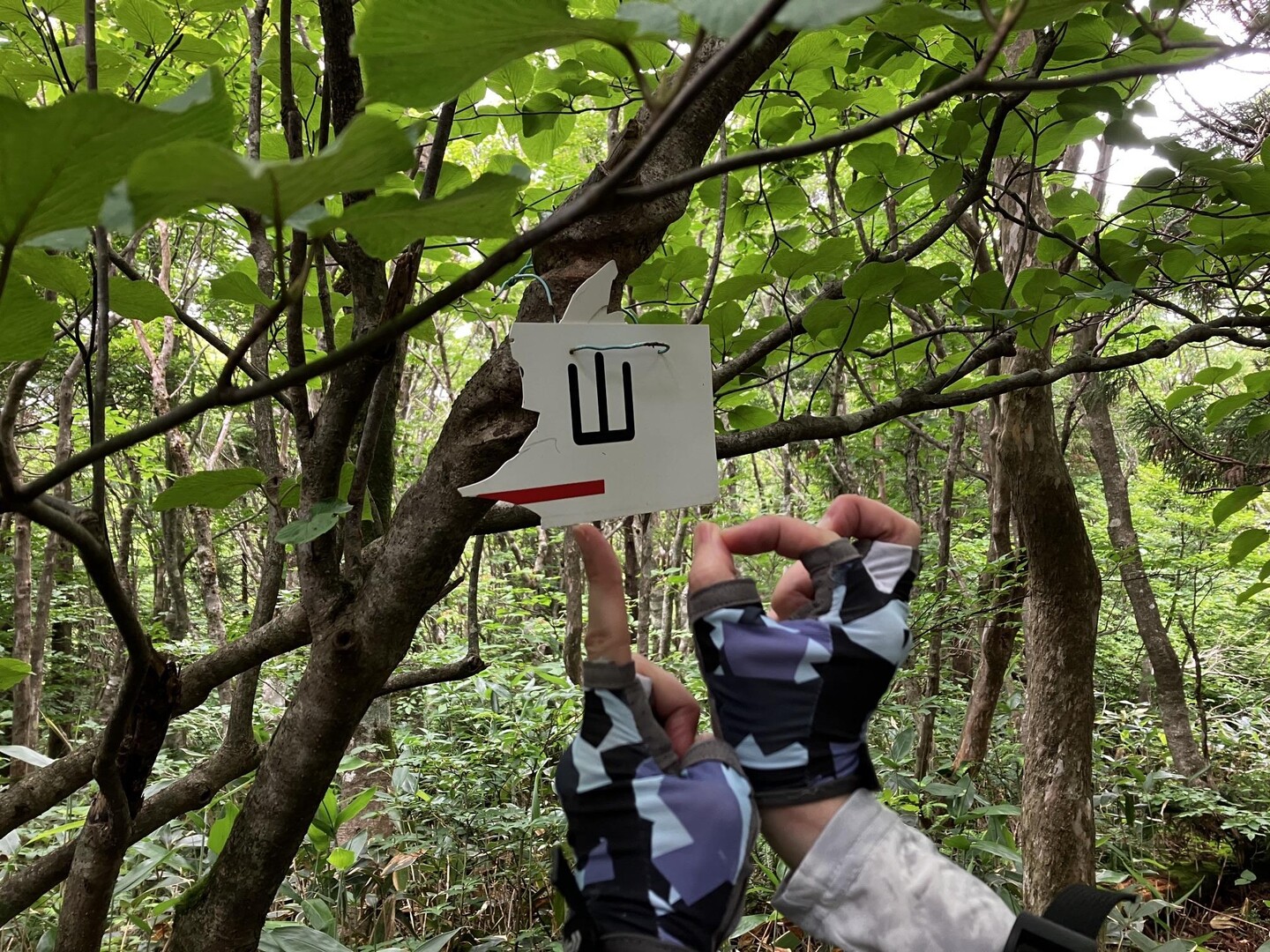 奥さんYAMAP100座達成！恐羅漢山〜十方山。 / 伝さんの恐羅漢山の活動データ | YAMAP / ヤマップ