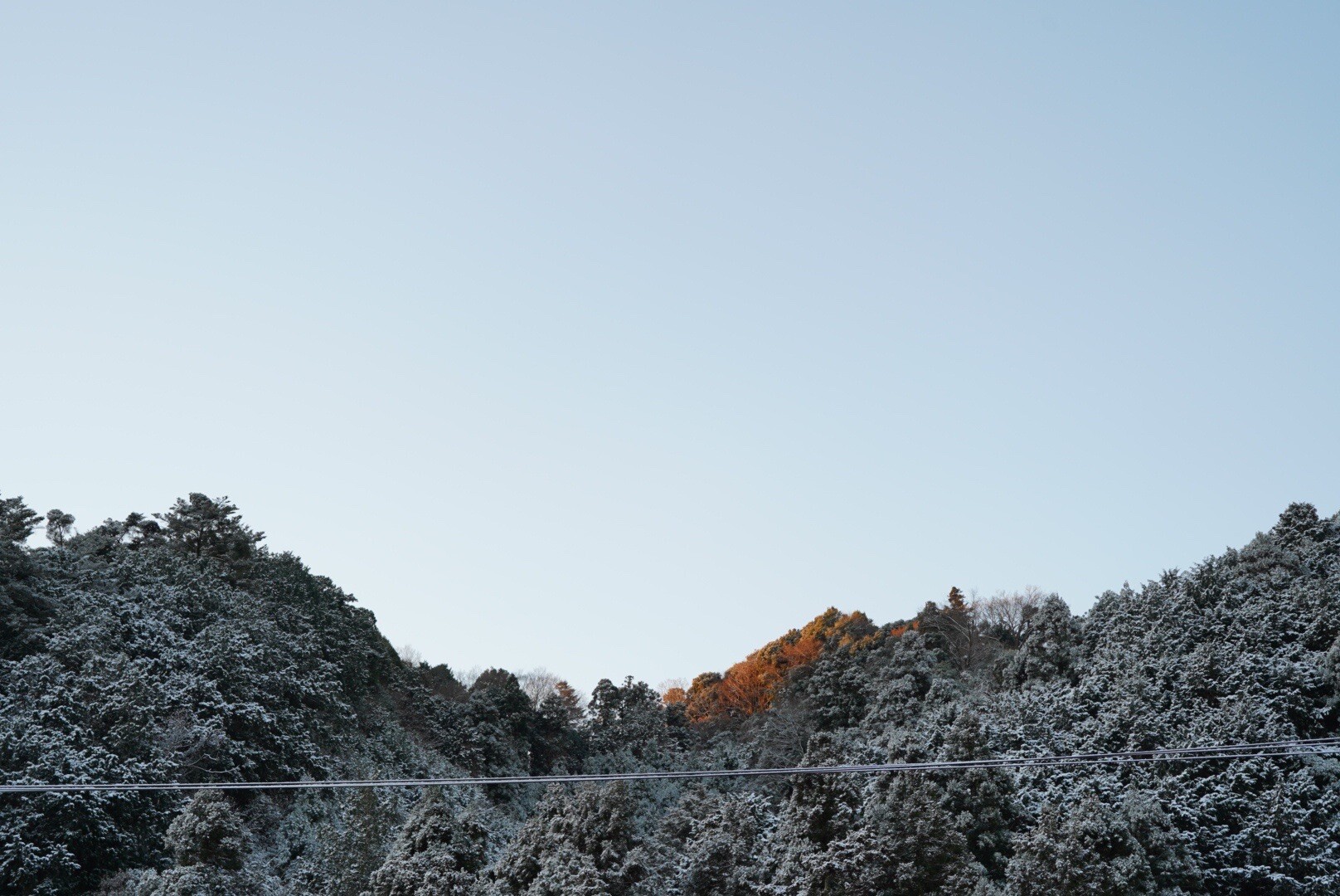 おはようございますっ( ᐛ ) ここ高尾... / Mariさんのモーメント | YAMAP / ヤマップ