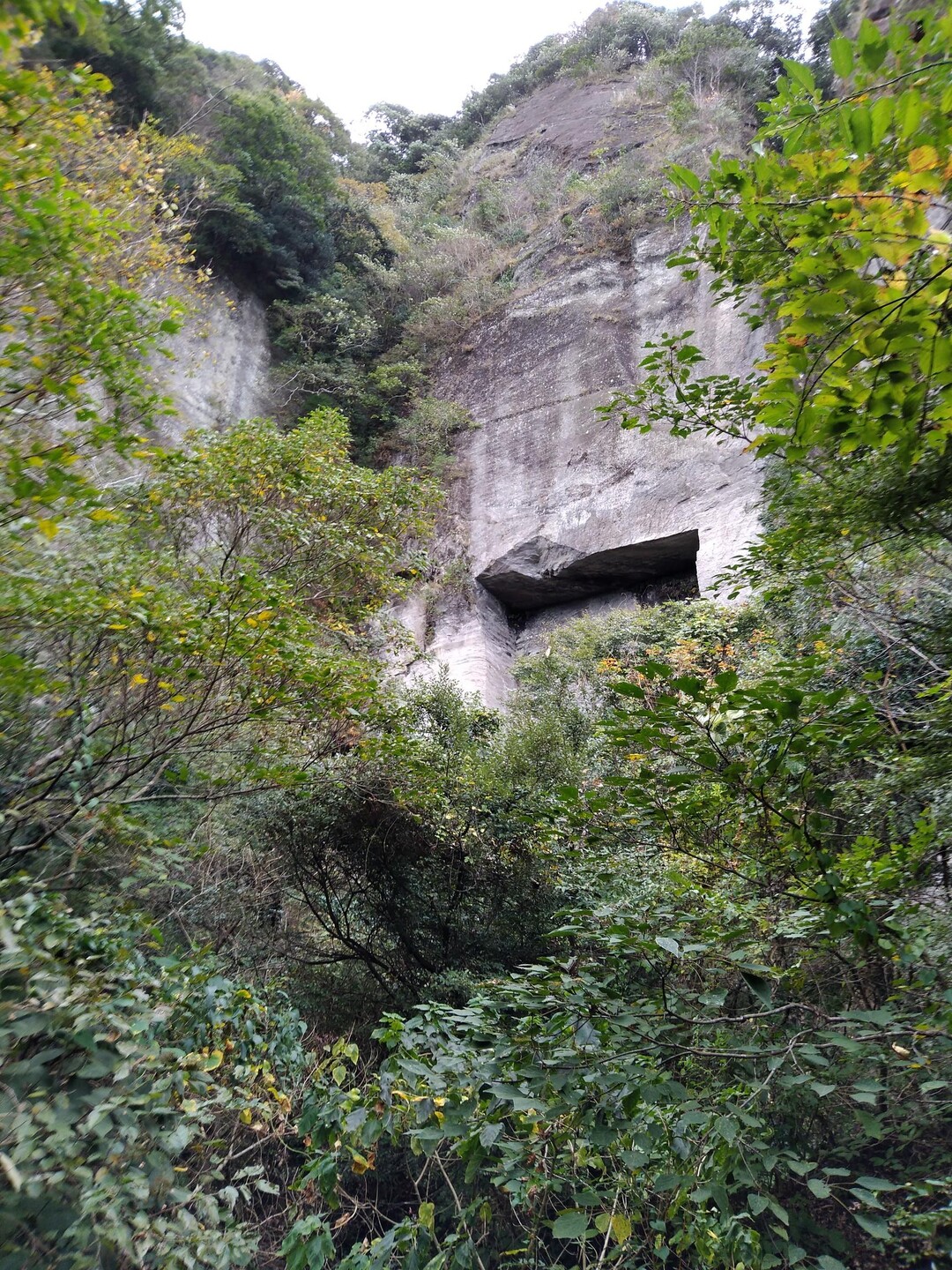 鋸山 / Satoshi Hiranoさんの鋸山の活動データ | YAMAP / ヤマップ