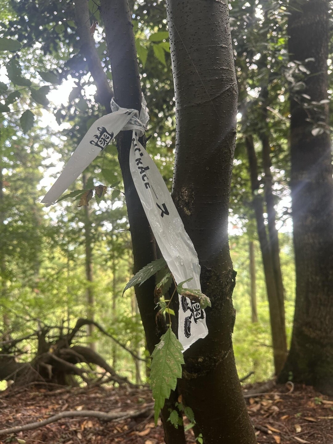 奥武蔵ロングトレイル35k!試走 / ちゃらもちさんの天覧山・多峯主山・天覚山の活動データ | YAMAP / ヤマップ