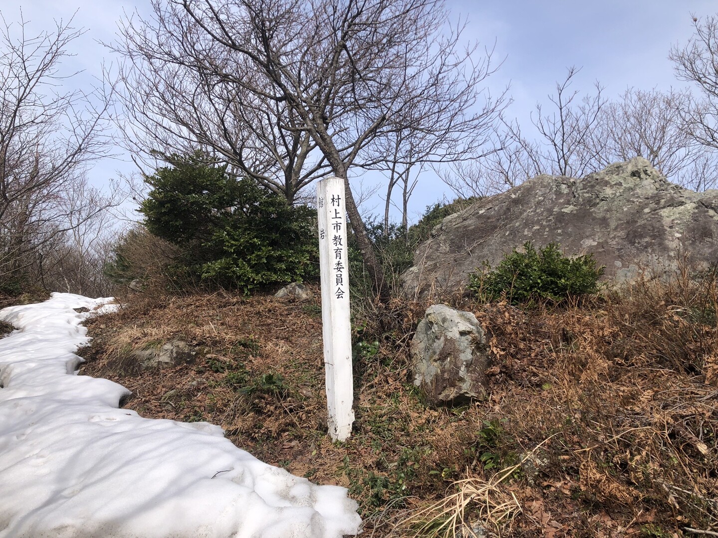 雪割草を求めて要害山🌸🌺 / w823hさんの村上市（荒川地区）の活動データ | YAMAP / ヤマップ