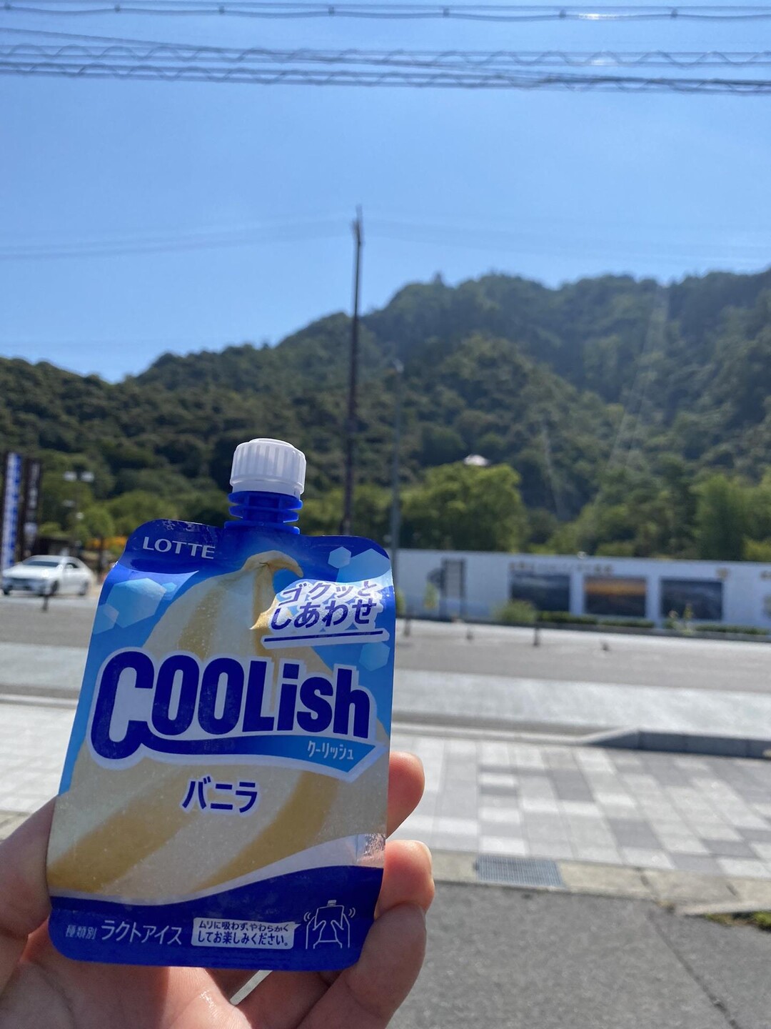 ひさしぶりのTTT 金華山 / たこちゃんさんの金華山・洞山・舟伏山の活動データ | YAMAP / ヤマップ