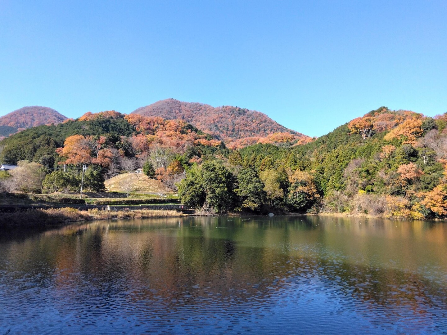 落ち葉の二上山 / RIKOさんの金剛山・二上山・大和葛城山の活動データ | YAMAP / ヤマップ