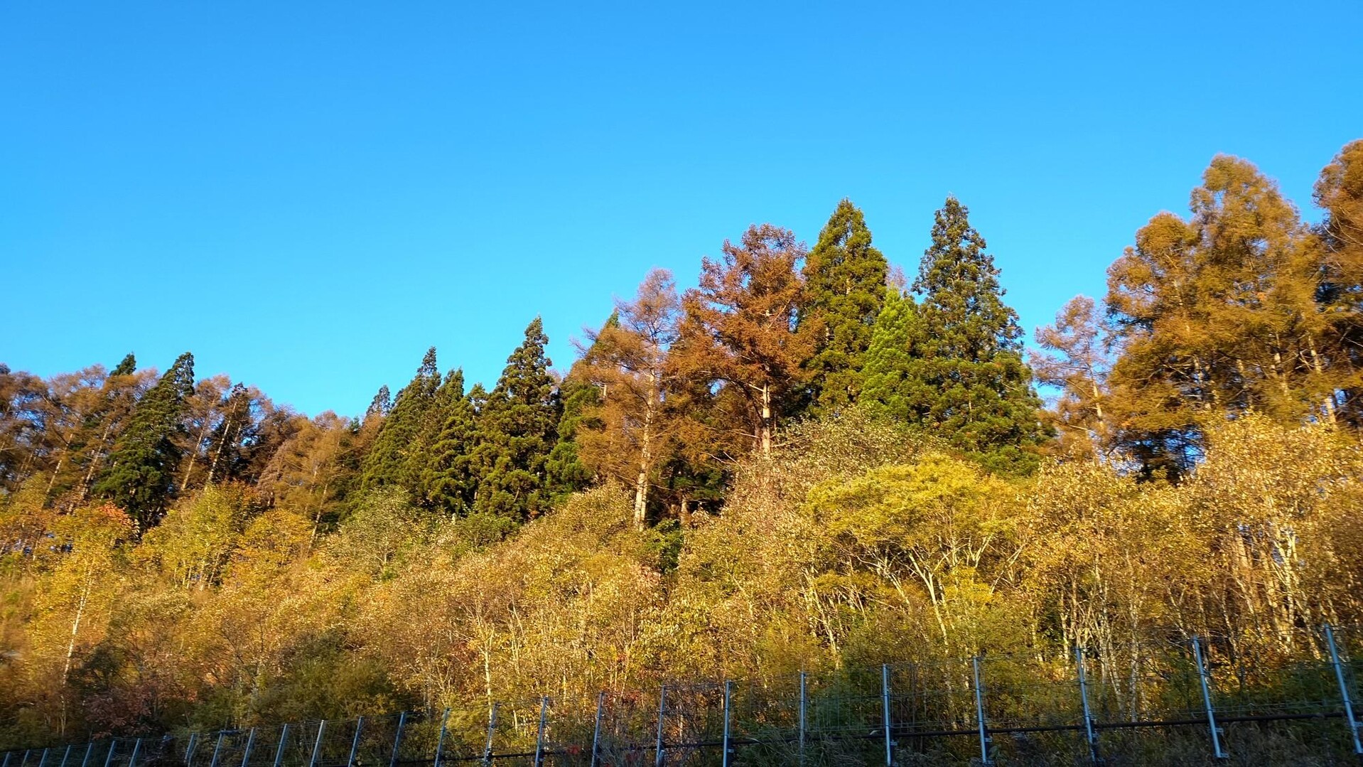 おはようございます😊🎵 快晴☀ 猪臥... / るんるんさんのモーメント | YAMAP / ヤマップ