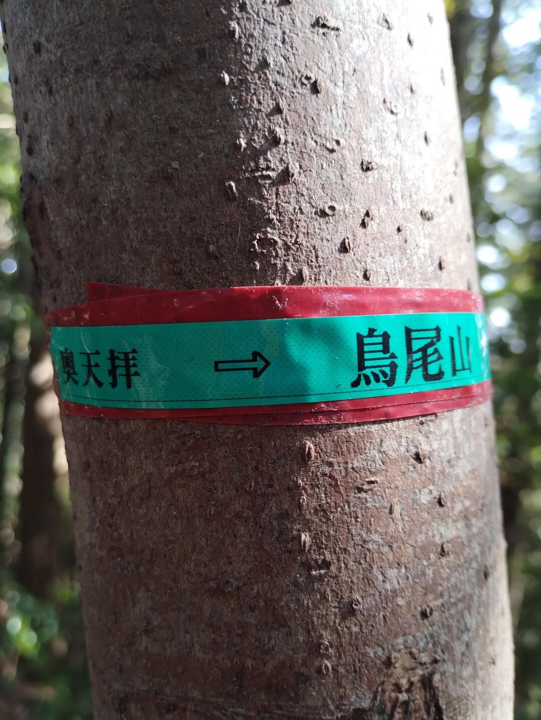 本日は恒例で家内＆倅と奥天拝へ 今回新... / やまGさんのモーメント | YAMAP / ヤマップ